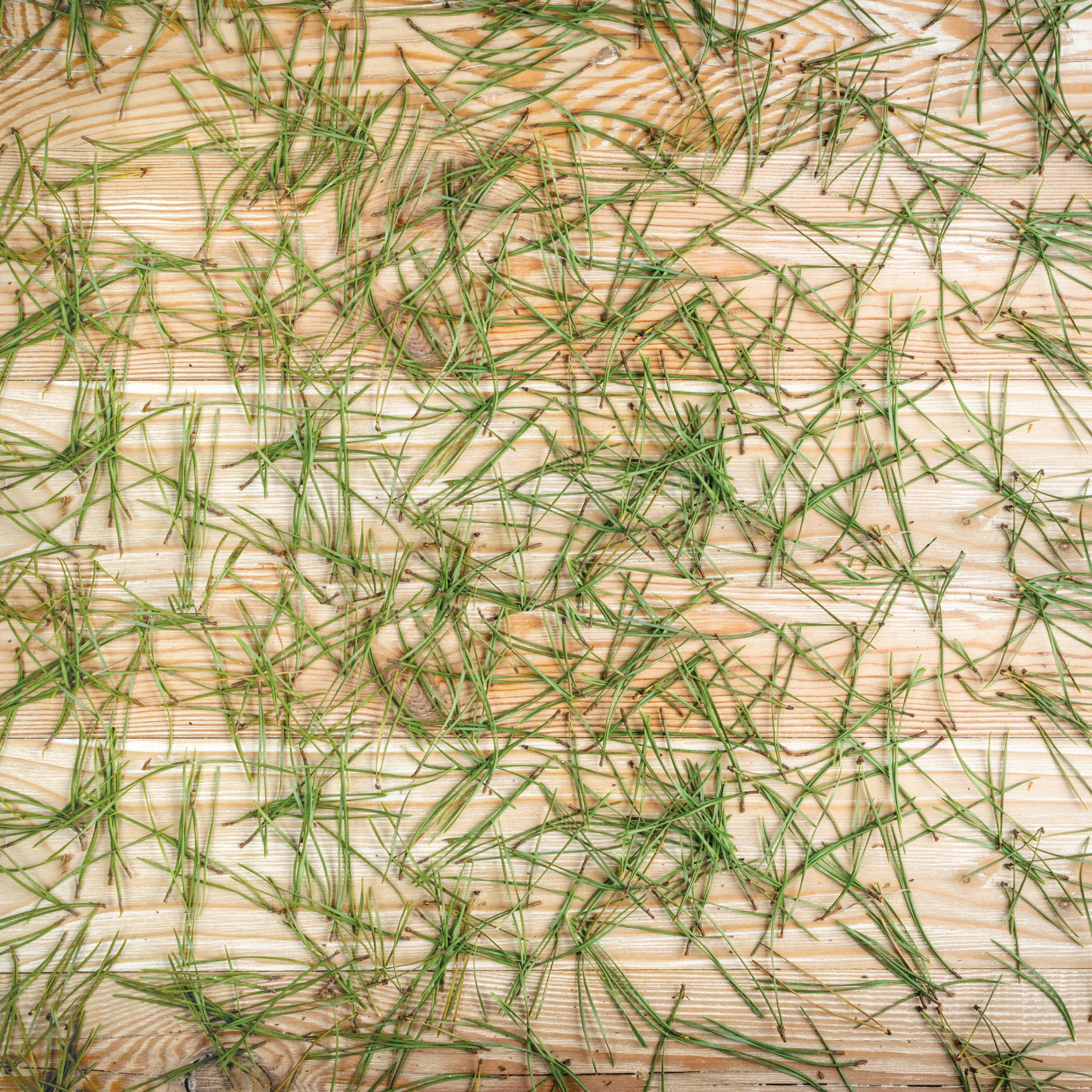 Leave Nothing Behind Texture Paper Pack by Creative Memories - Issuu