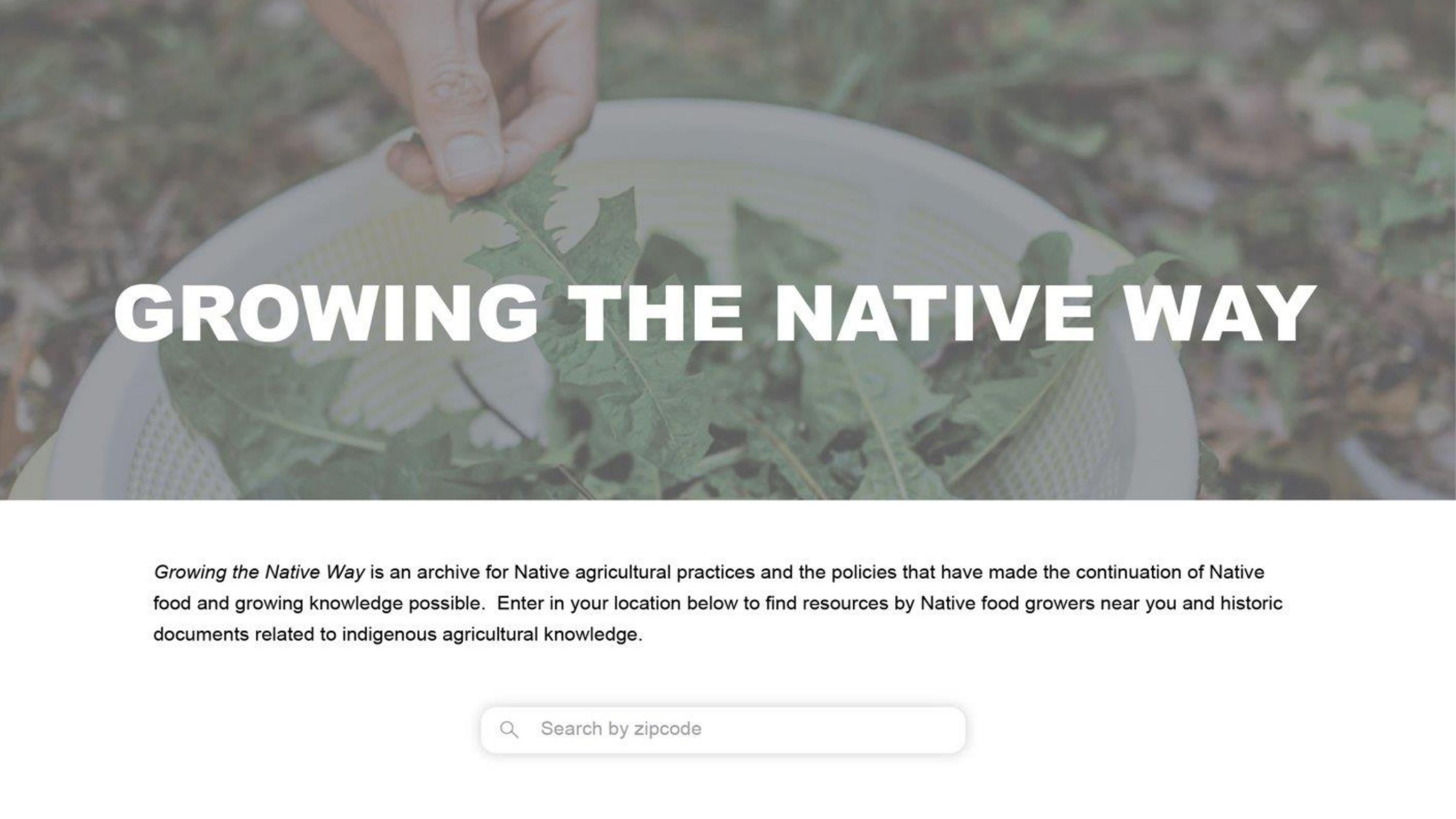 Growing the Native Way by csloan512 - Issuu