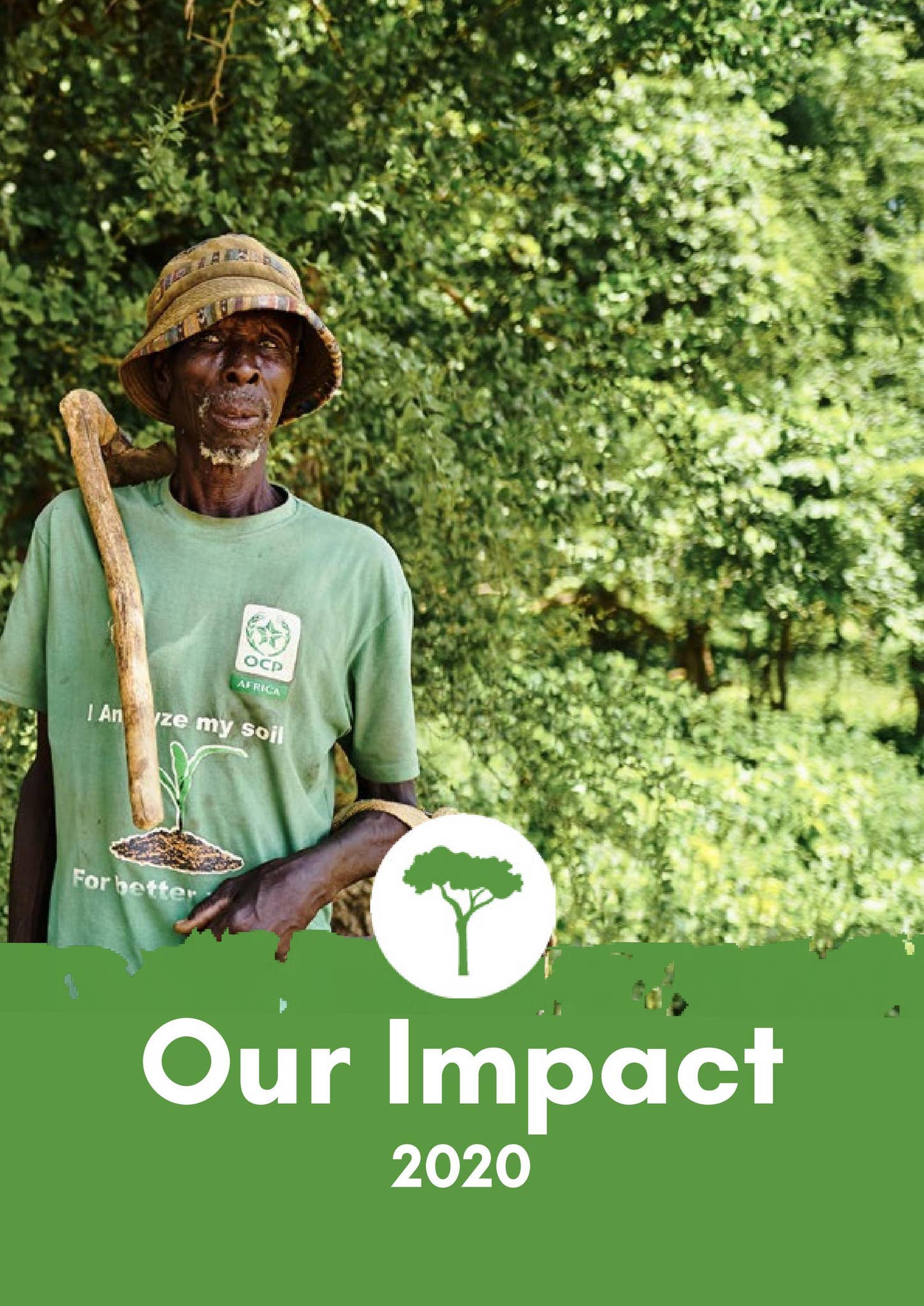 Our Impact 2020 by International Tree Foundation - Issuu