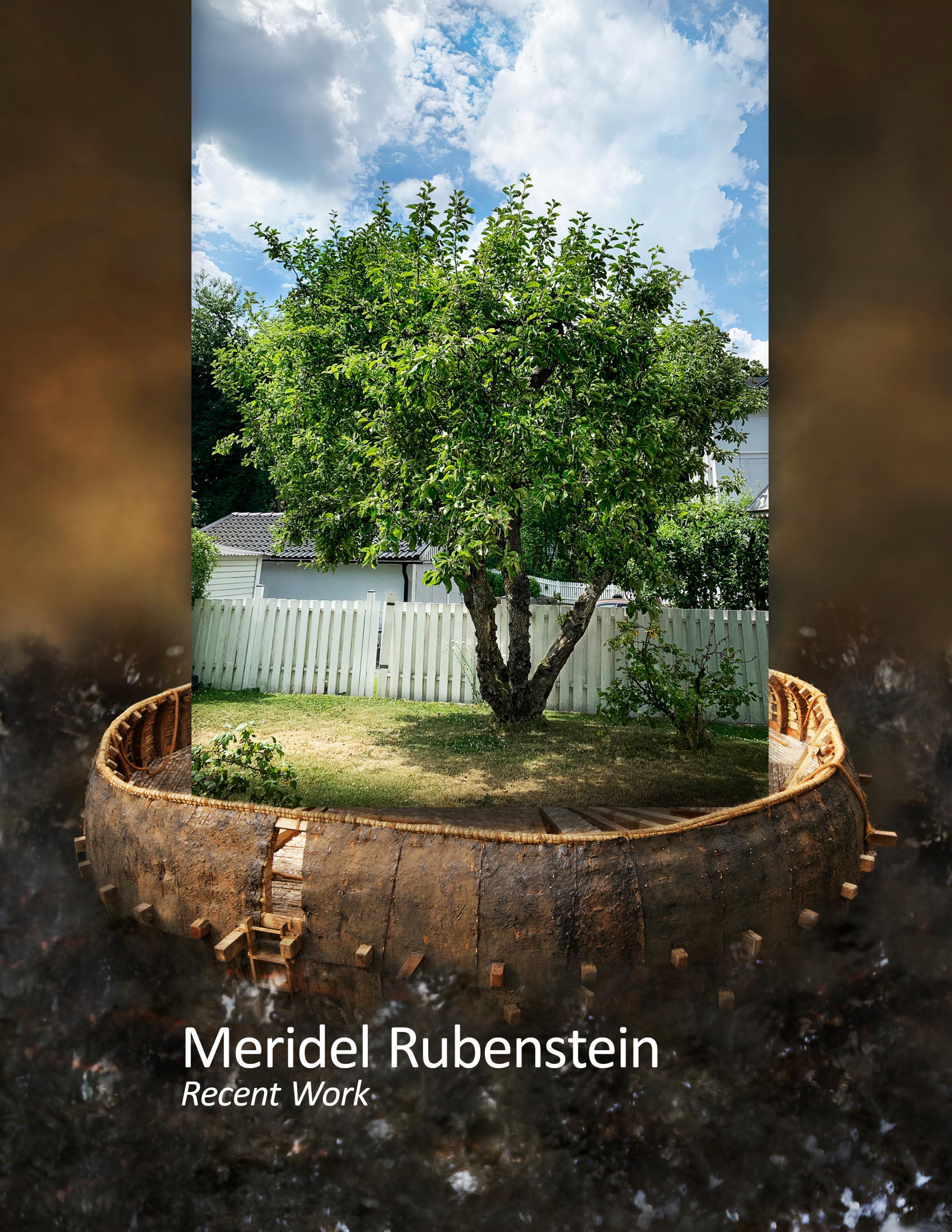Meridel Rubenstein: Recent Work by Brian Gross Fine Art - Issuu