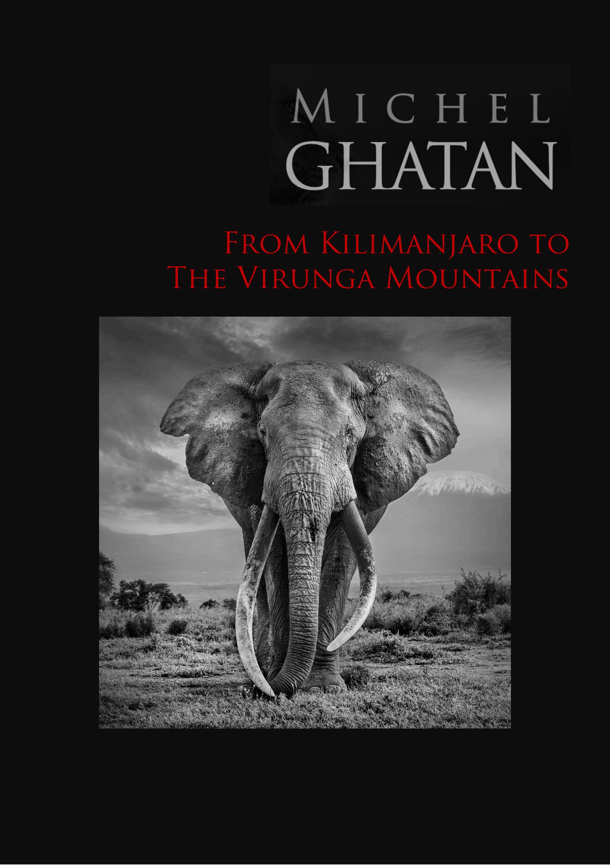 Michel Ghatan: From Kilimanjaro to the Virunga Mountains by Alon Zakaim ...