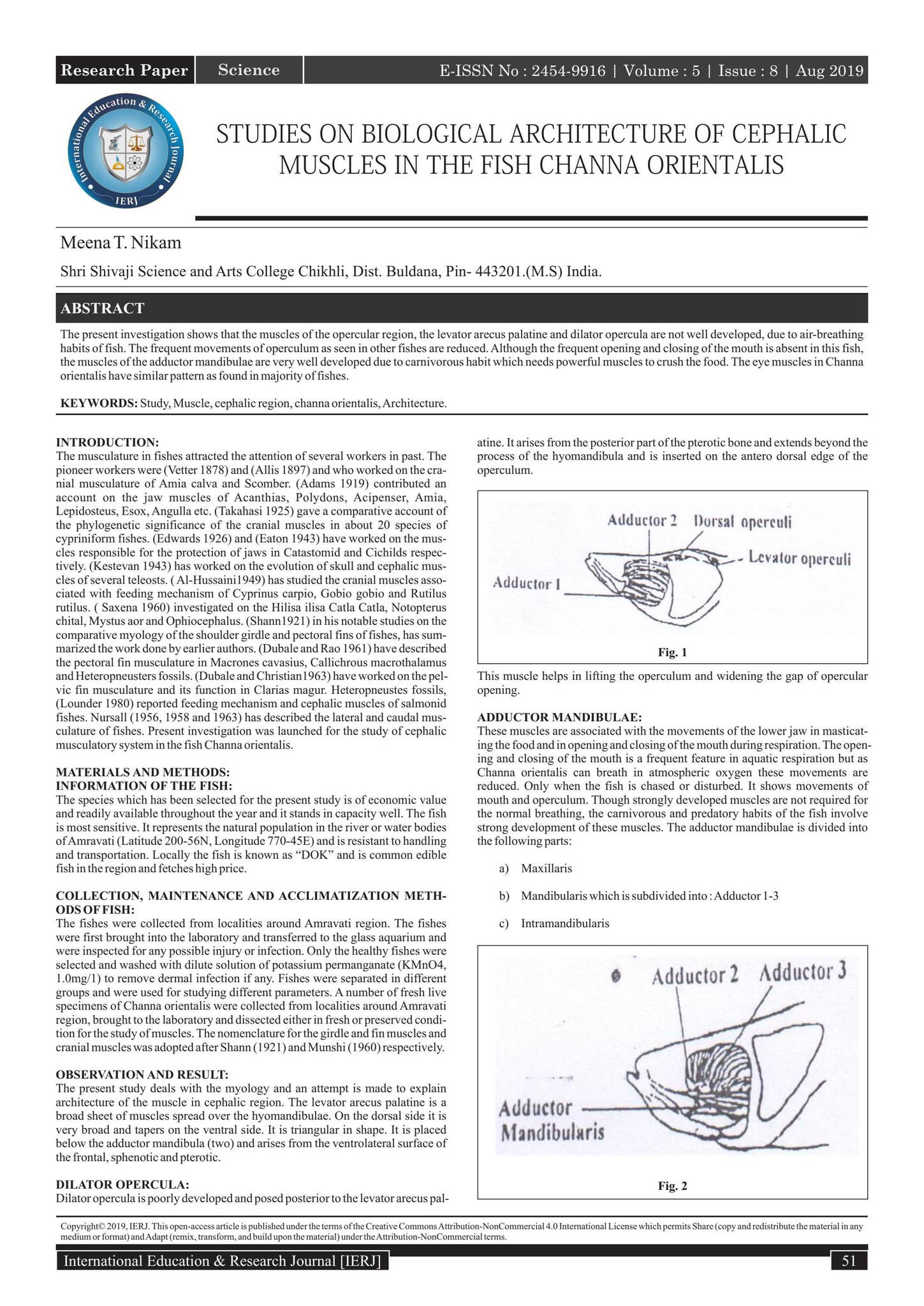 STUDIES ON BIOLOGICAL ARCHITECTURE OF CEPHALIC MUSCLES IN THE FISH ...