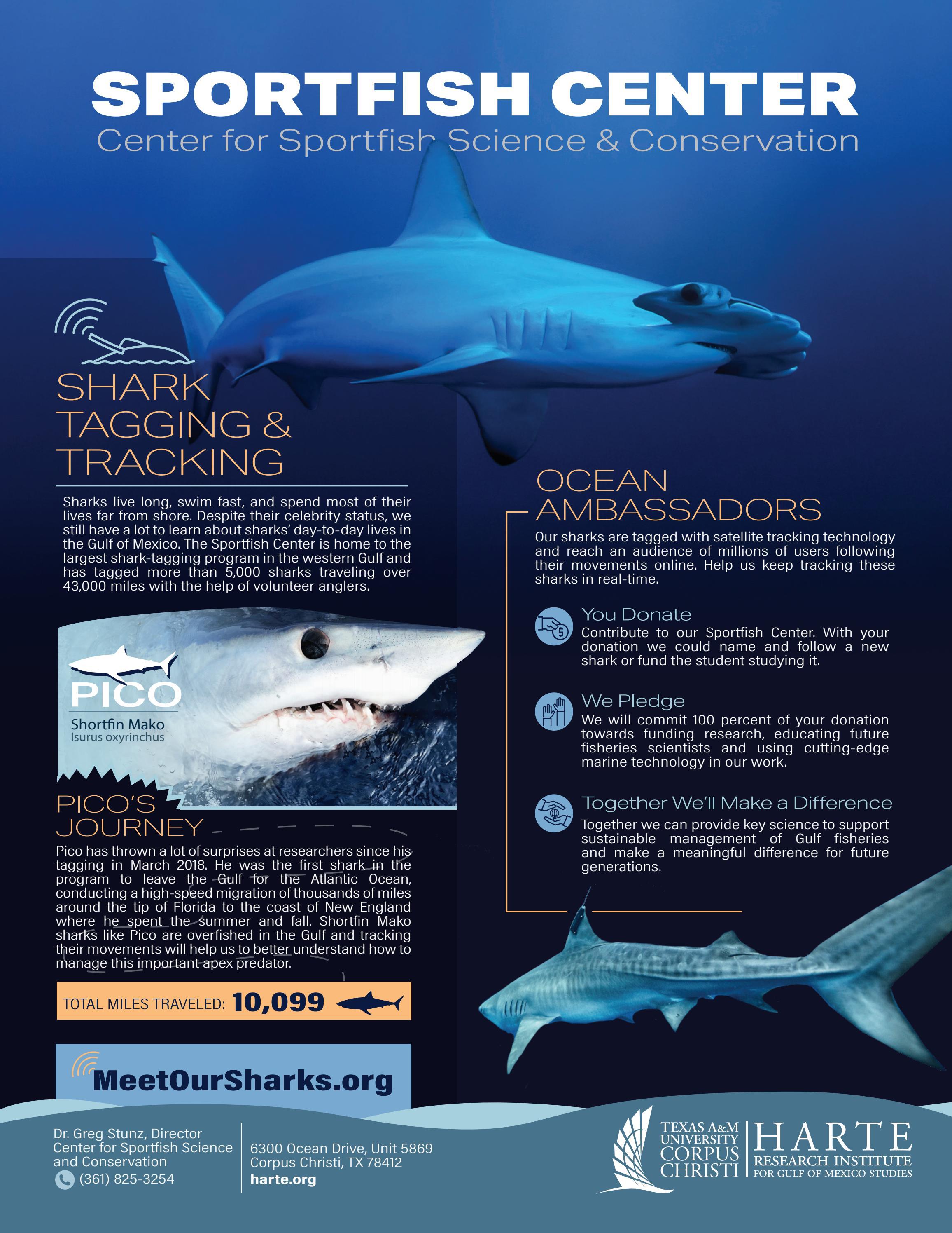 CSSC Shark Tagging Program Flyer by Harte Research Institute for Gulf ...