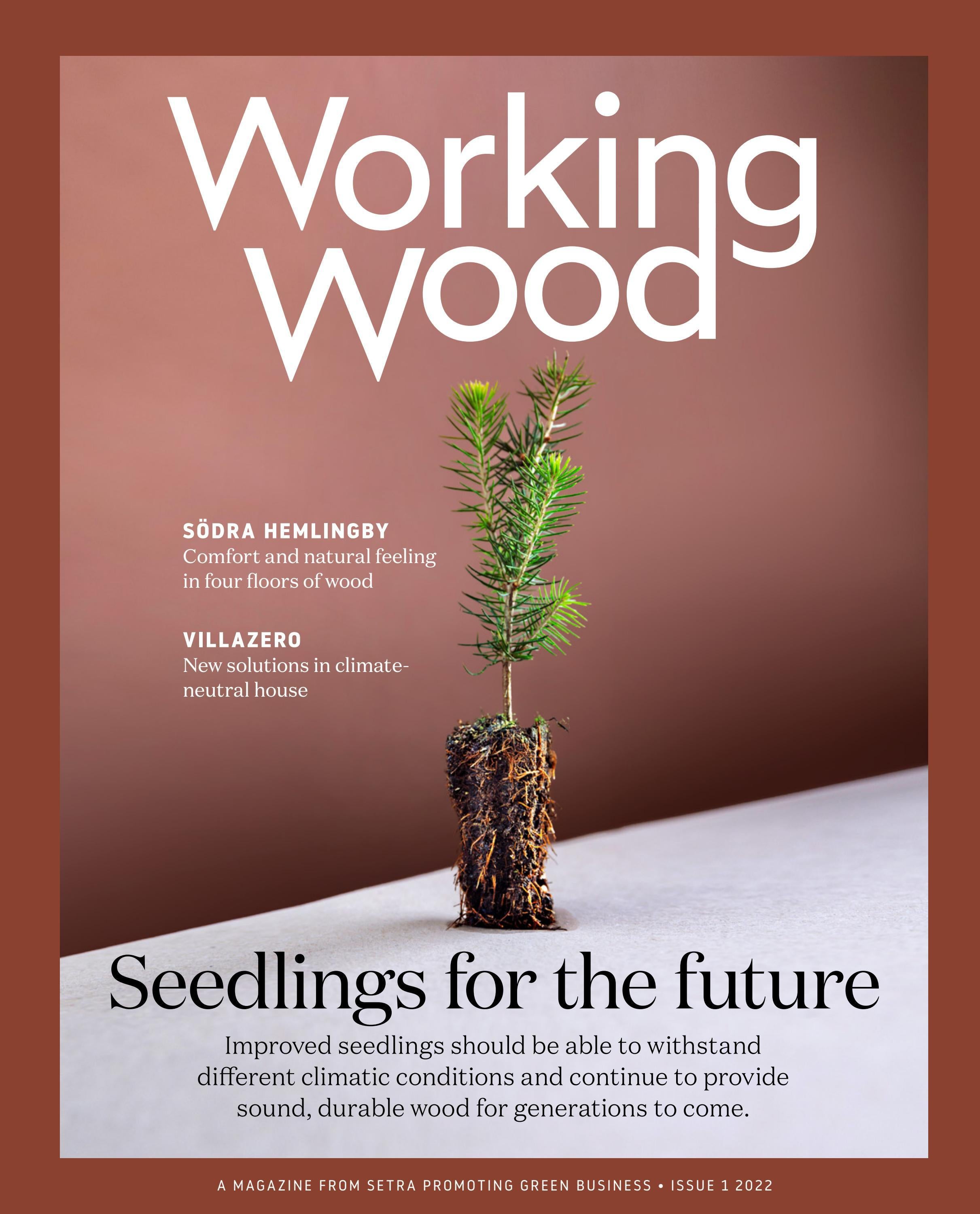 Working Wood Issue 1 2022 by Setra Group - Issuu