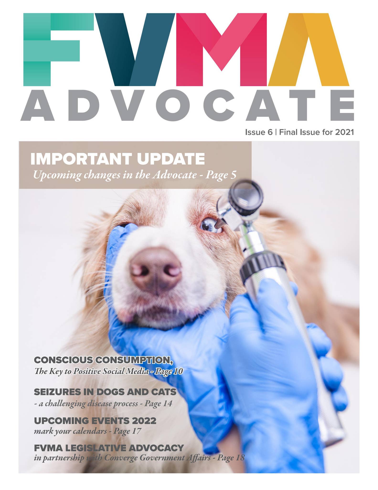 FVMA Advocate Issue 6, 2021 by FVMA - Issuu