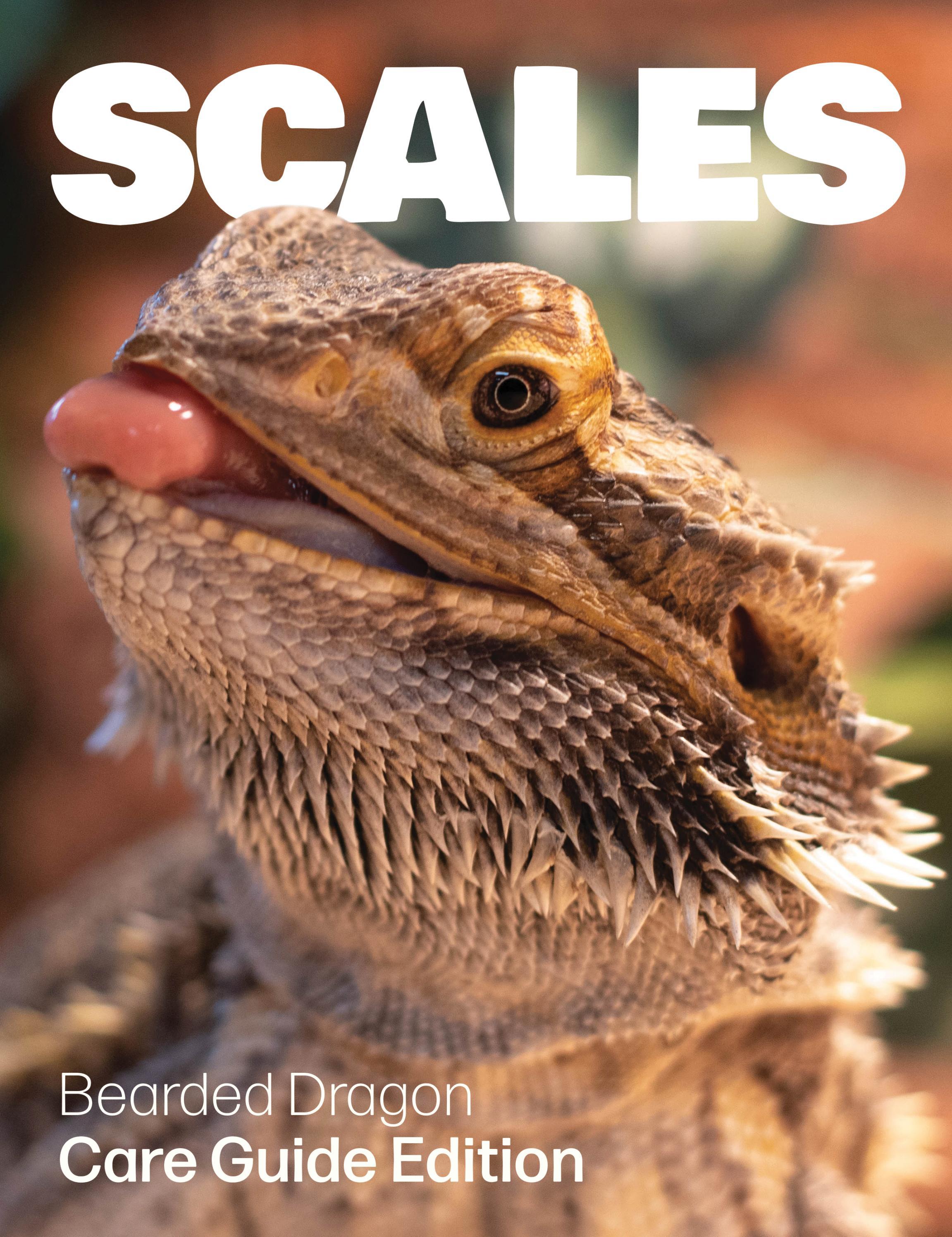 SCALES Magazine: Spring 2022 by kobanion1 - Issuu