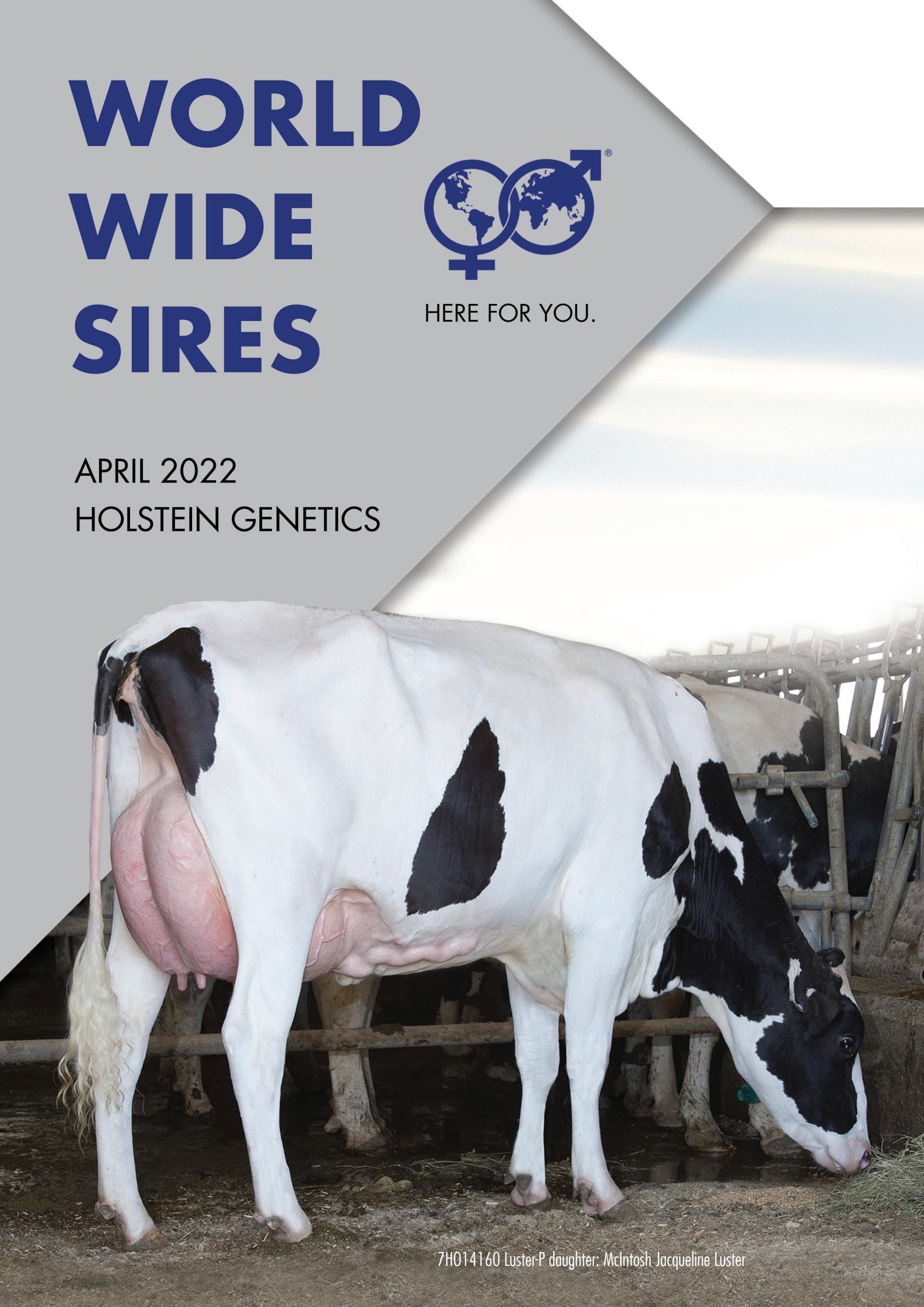 World Wide Sires UK April 2022 Holstein Brochure by Melanie Hoggard - Issuu