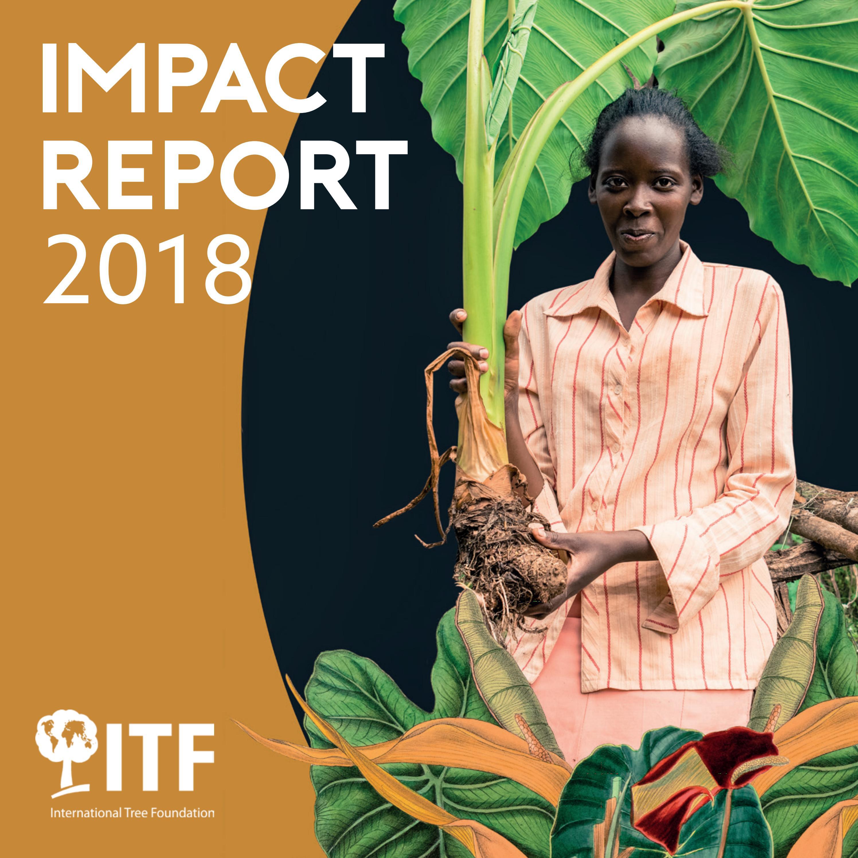 ITF 2018 Impact Report by International Tree Foundation - Issuu