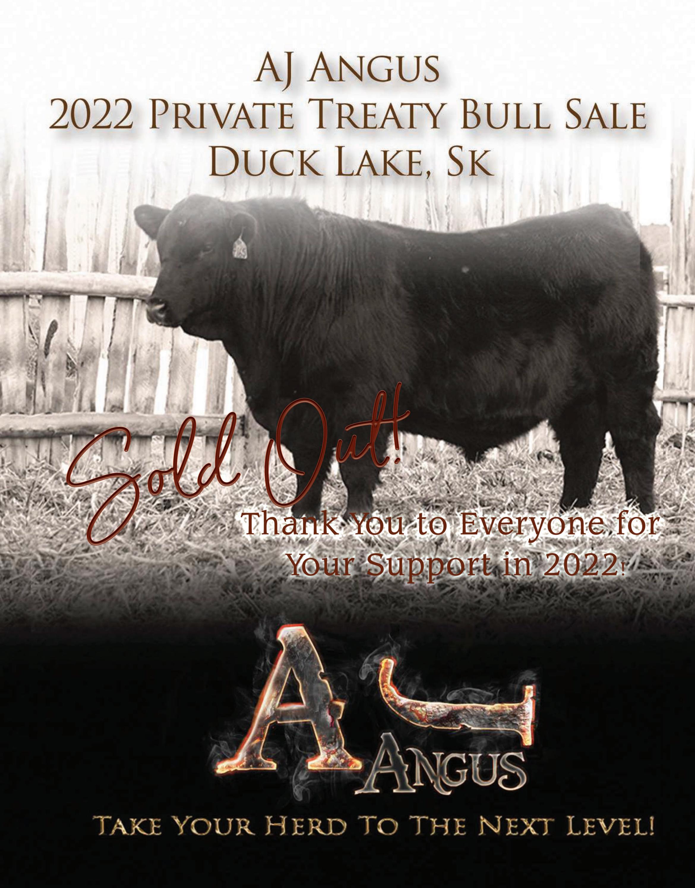 AJ Angus 2022 Private Treaty Bull Sale by Today's Publishing Inc. - Issuu