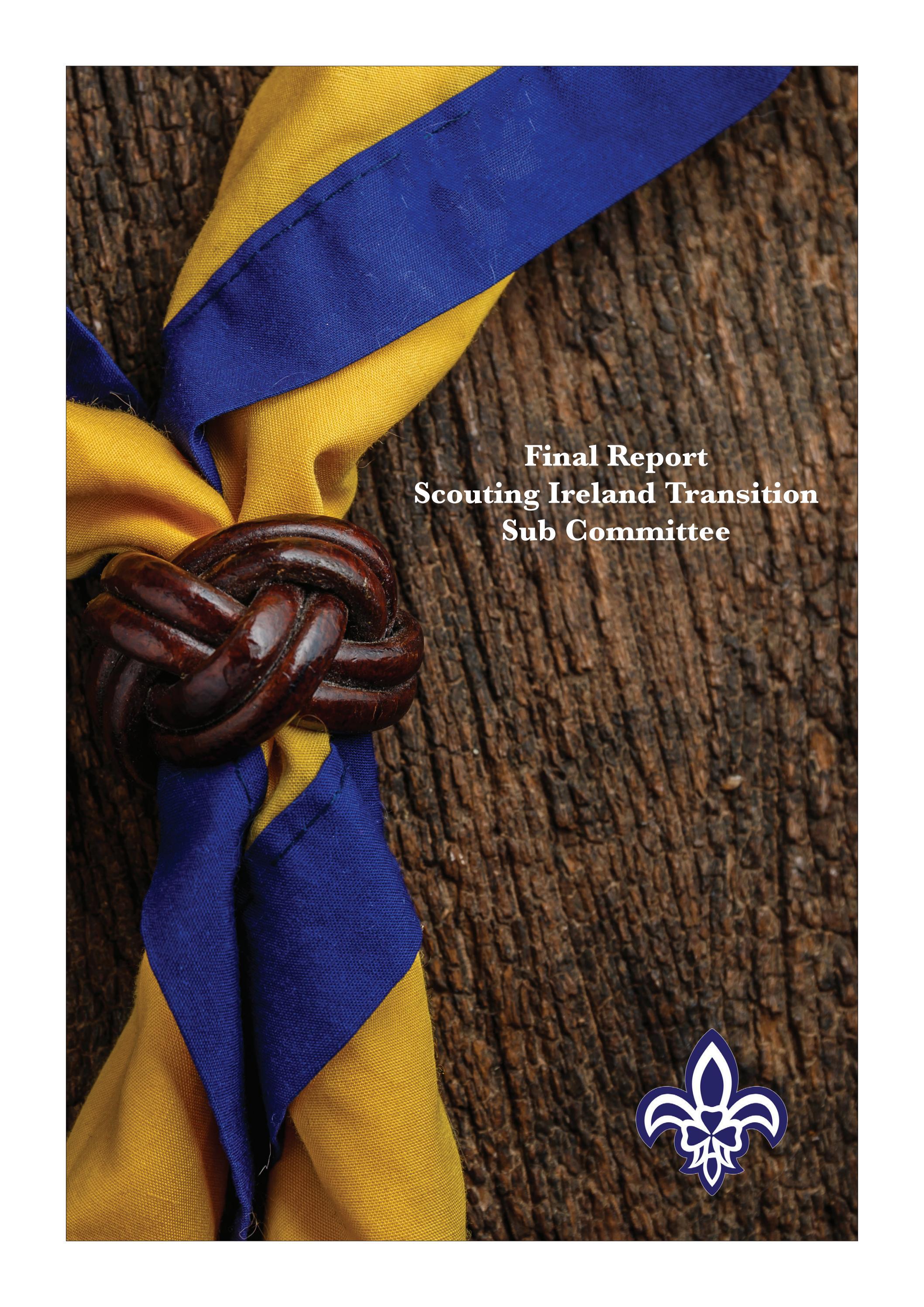 Final-Report-Scouting-Ireland-Transition-Sub-Committee by Scouting ...
