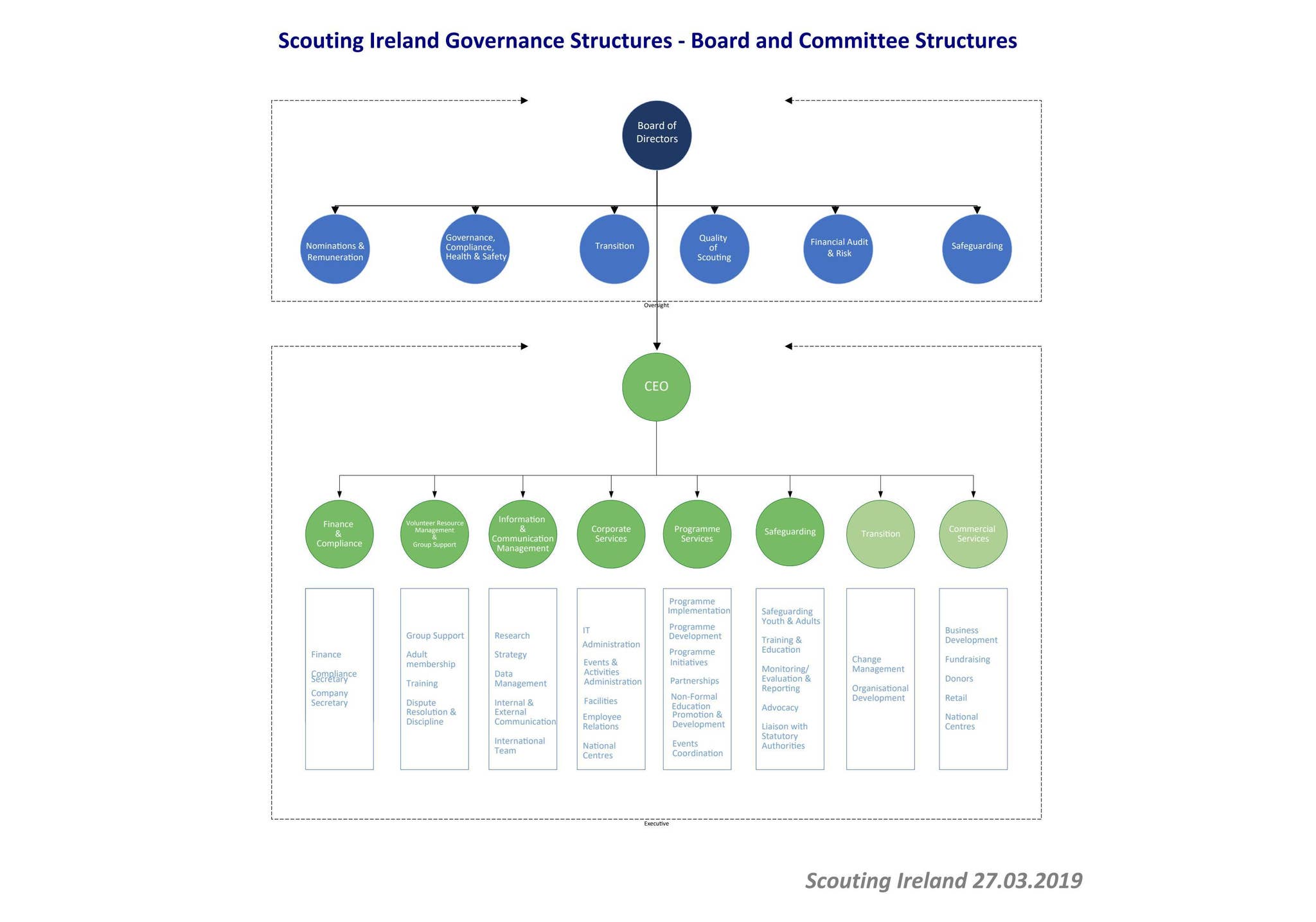 Scouting-Ireland-Governance-Structures-Board-and-Committee-Structures ...