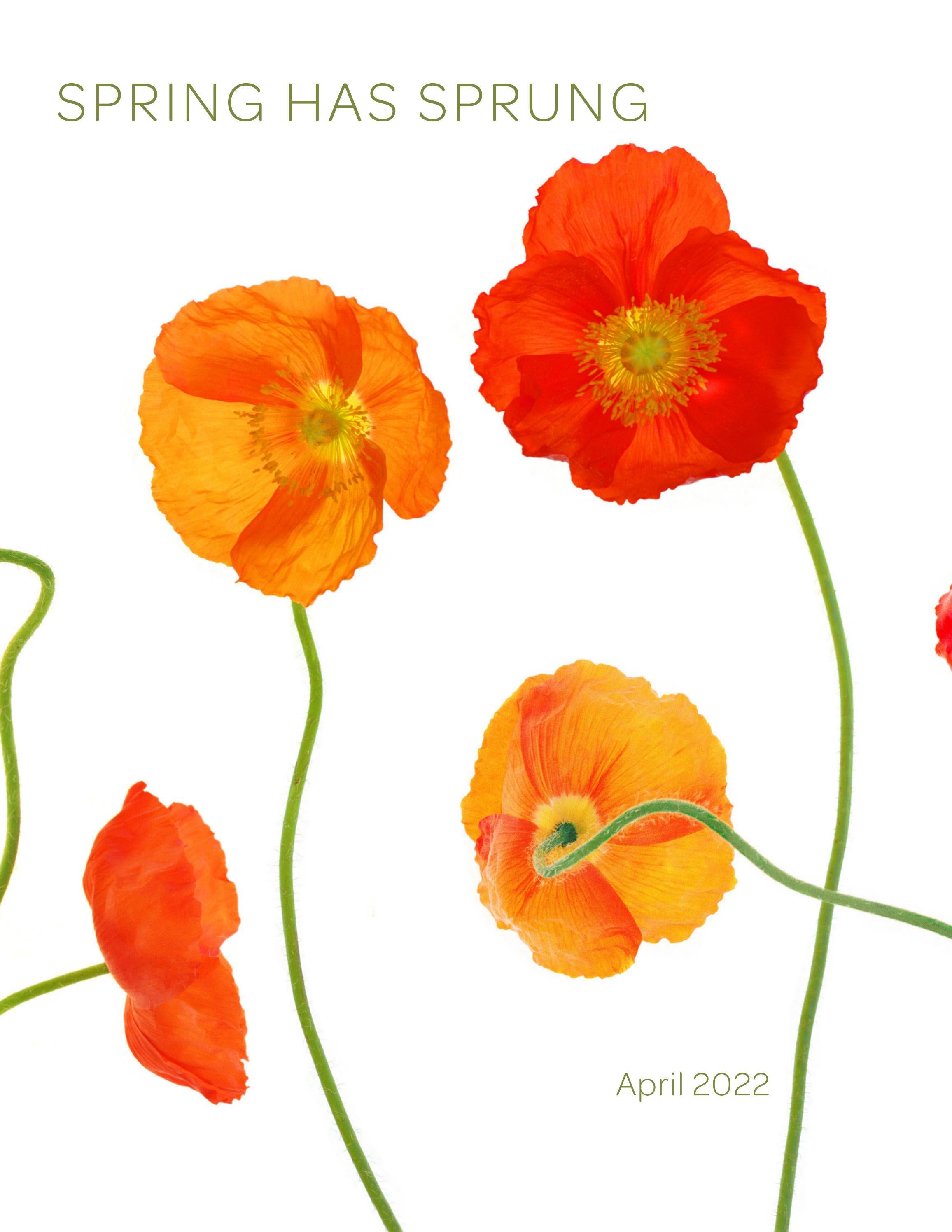 Spring has Sprung by Page Bond Gallery - Issuu