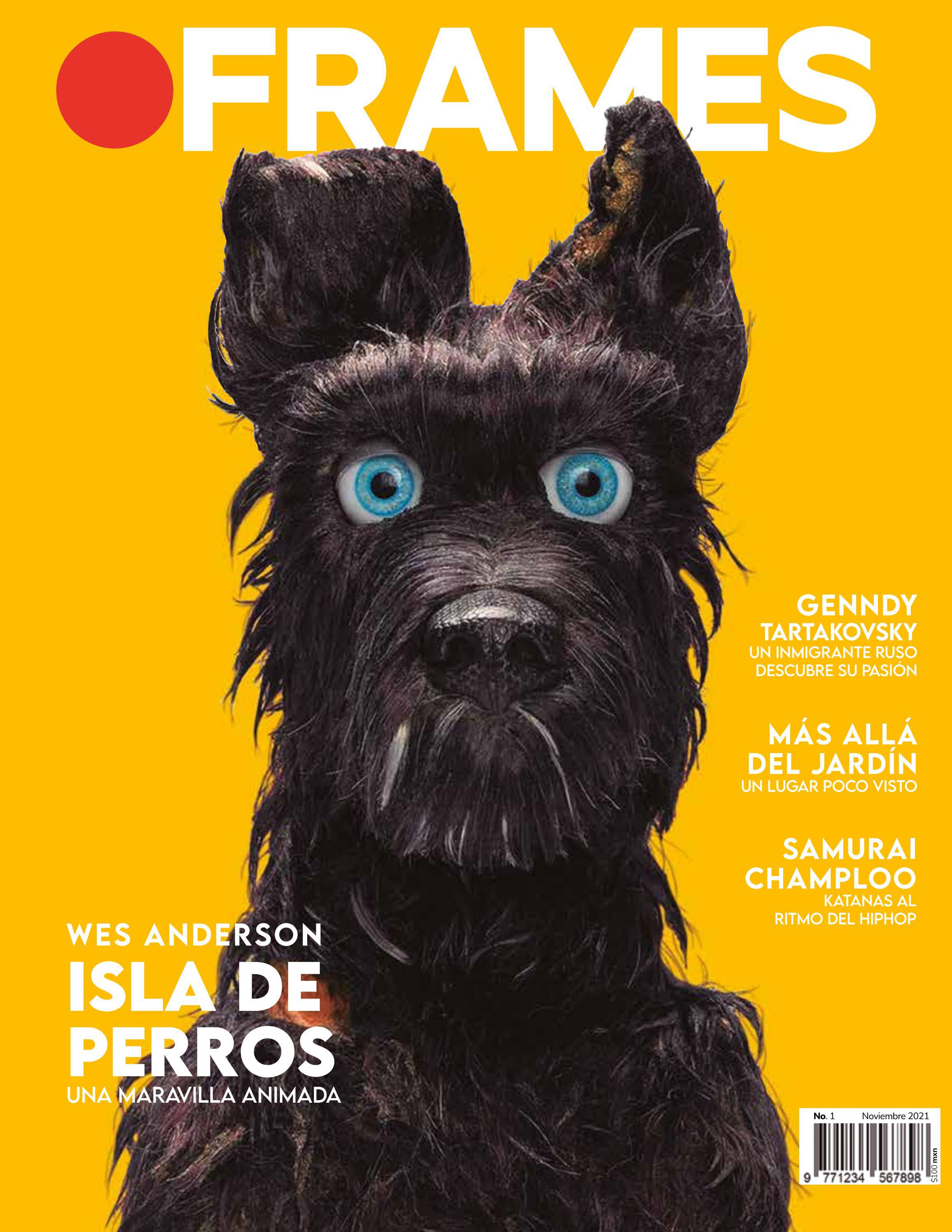 FRAMES REVISTA by Daniela Ruiz - Issuu