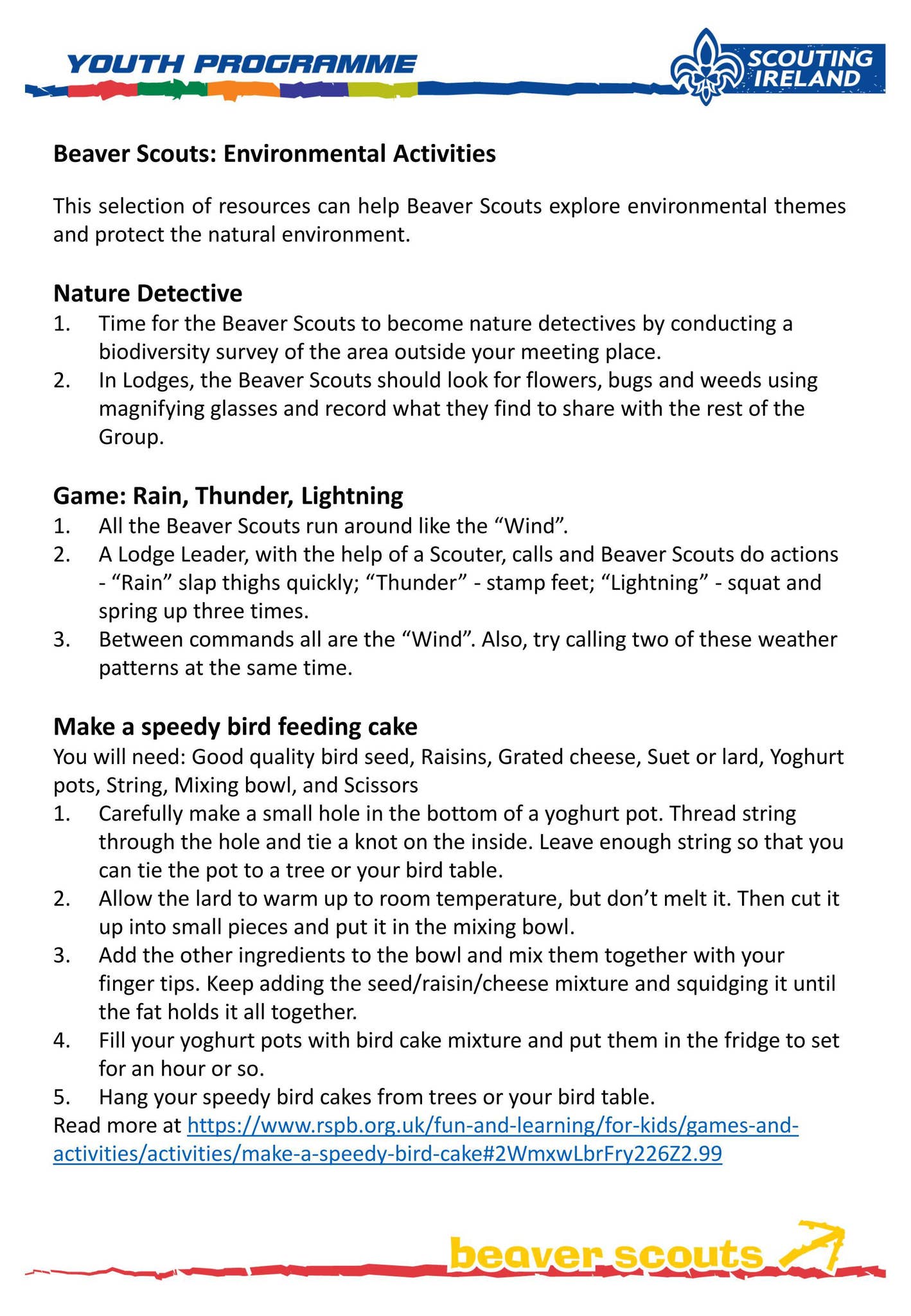 28BS-Environmental-ideas by Scouting Ireland - Issuu