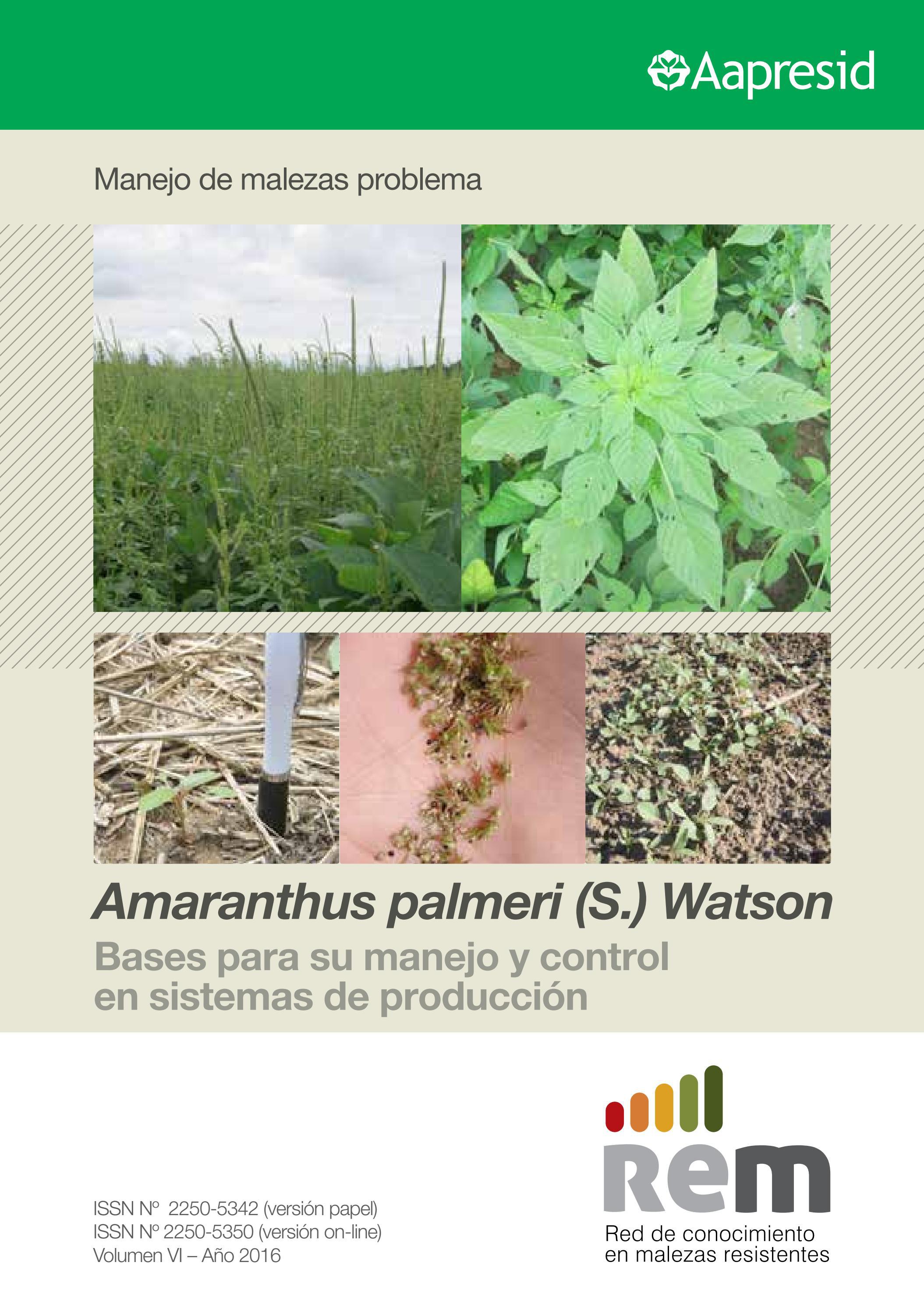 Amaranthus Palmeri - REM by Revista Aapresid - Issuu