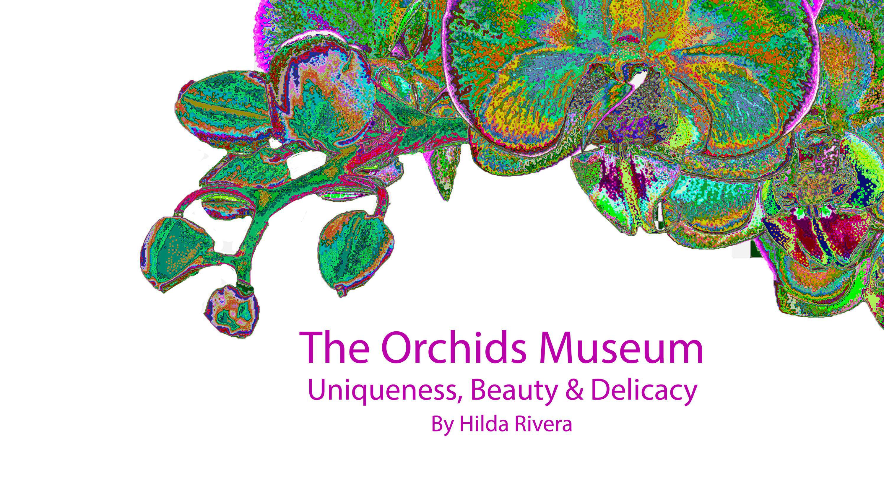 Rivera_The Orchid Museum by SAID BS-Architecture - Issuu