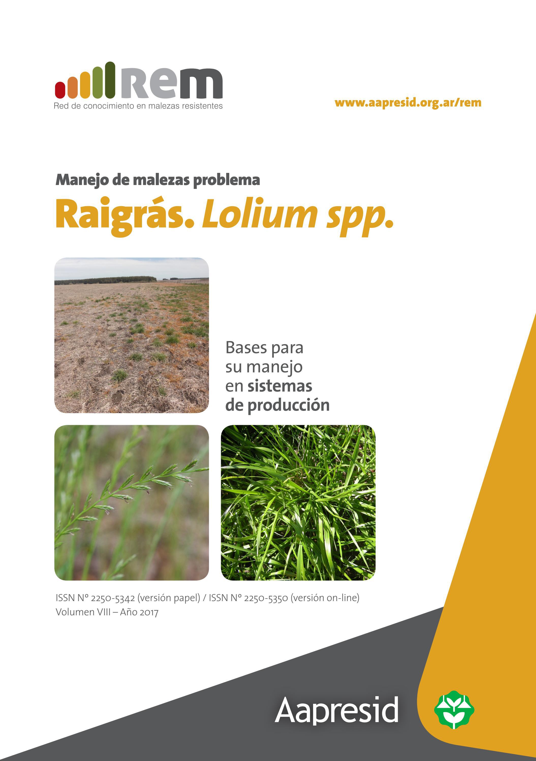 Raigrás. Lolium spp. - REM by Revista Aapresid - Issuu