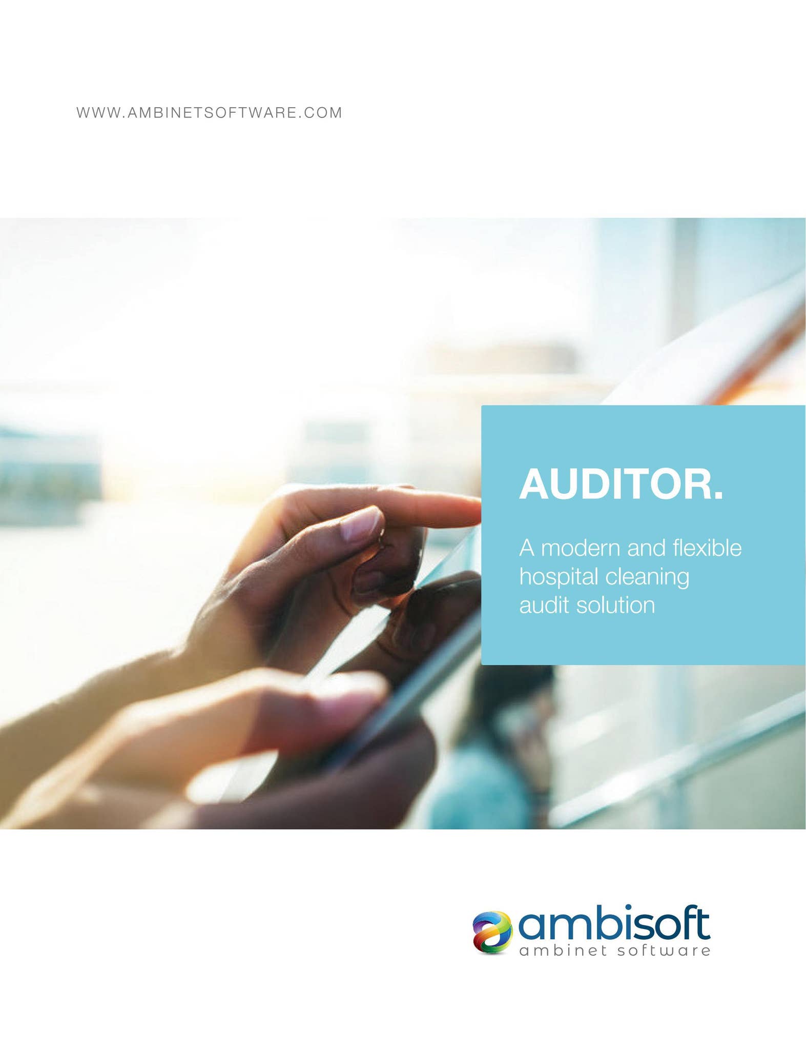 AUDITOR CLEANING AUDIT SYSTEM by ambisoft - Issuu