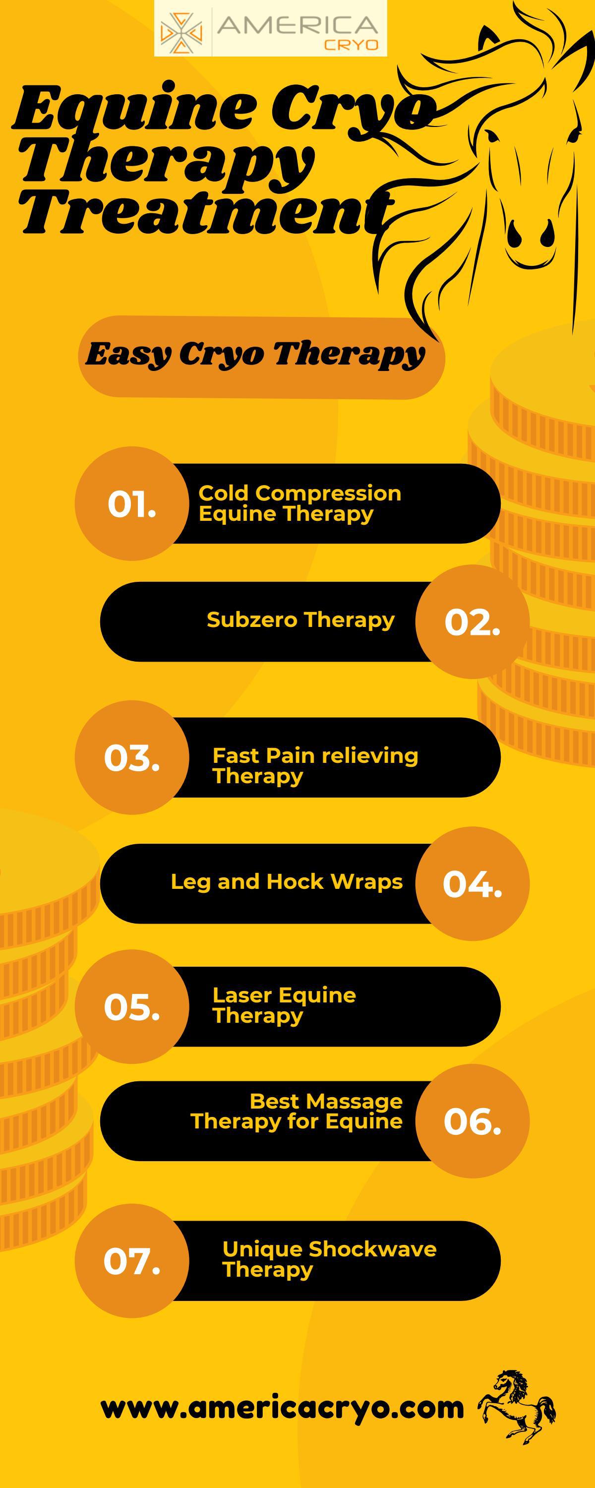 Easy Cryo Equine Therapy - AmericaCryo by AmericaCryo - Issuu