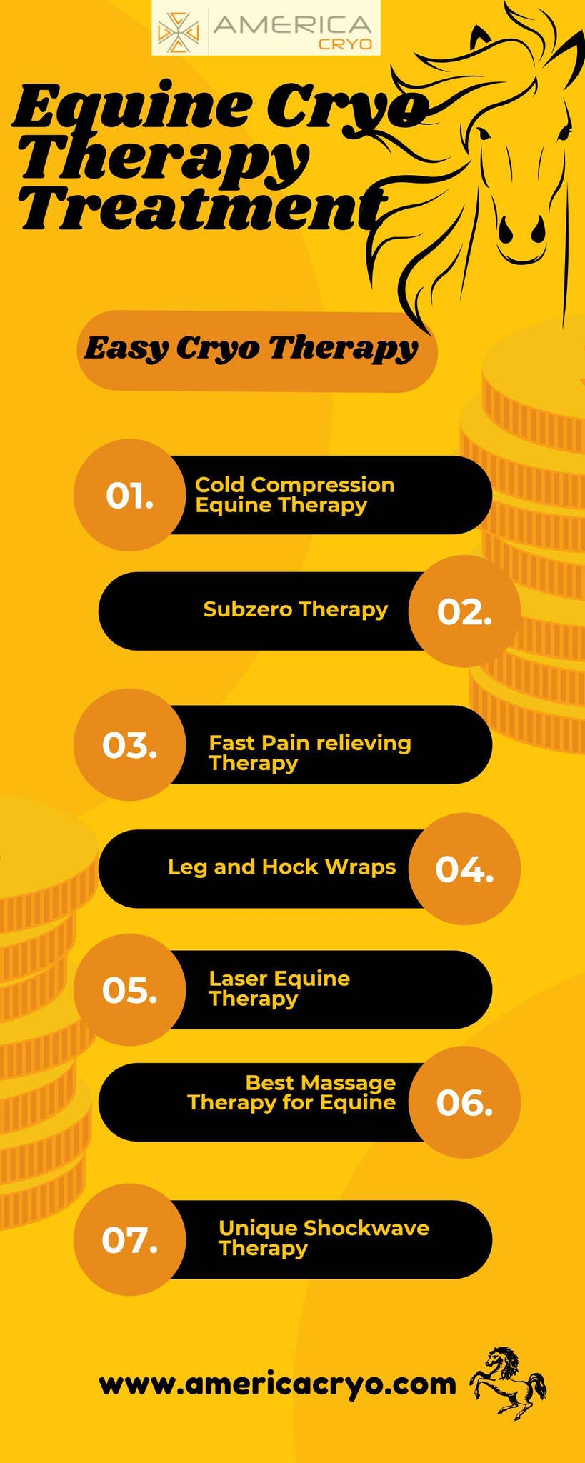 Easy Cryo Equine Therapy - AmericaCryo by AmericaCryo - Issuu