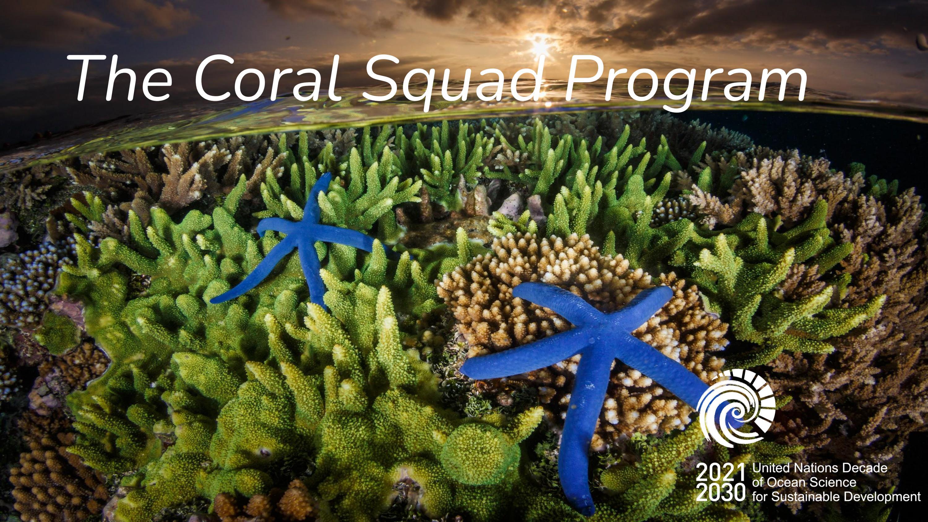 The Coral Squad Program by DanielleZ - Issuu