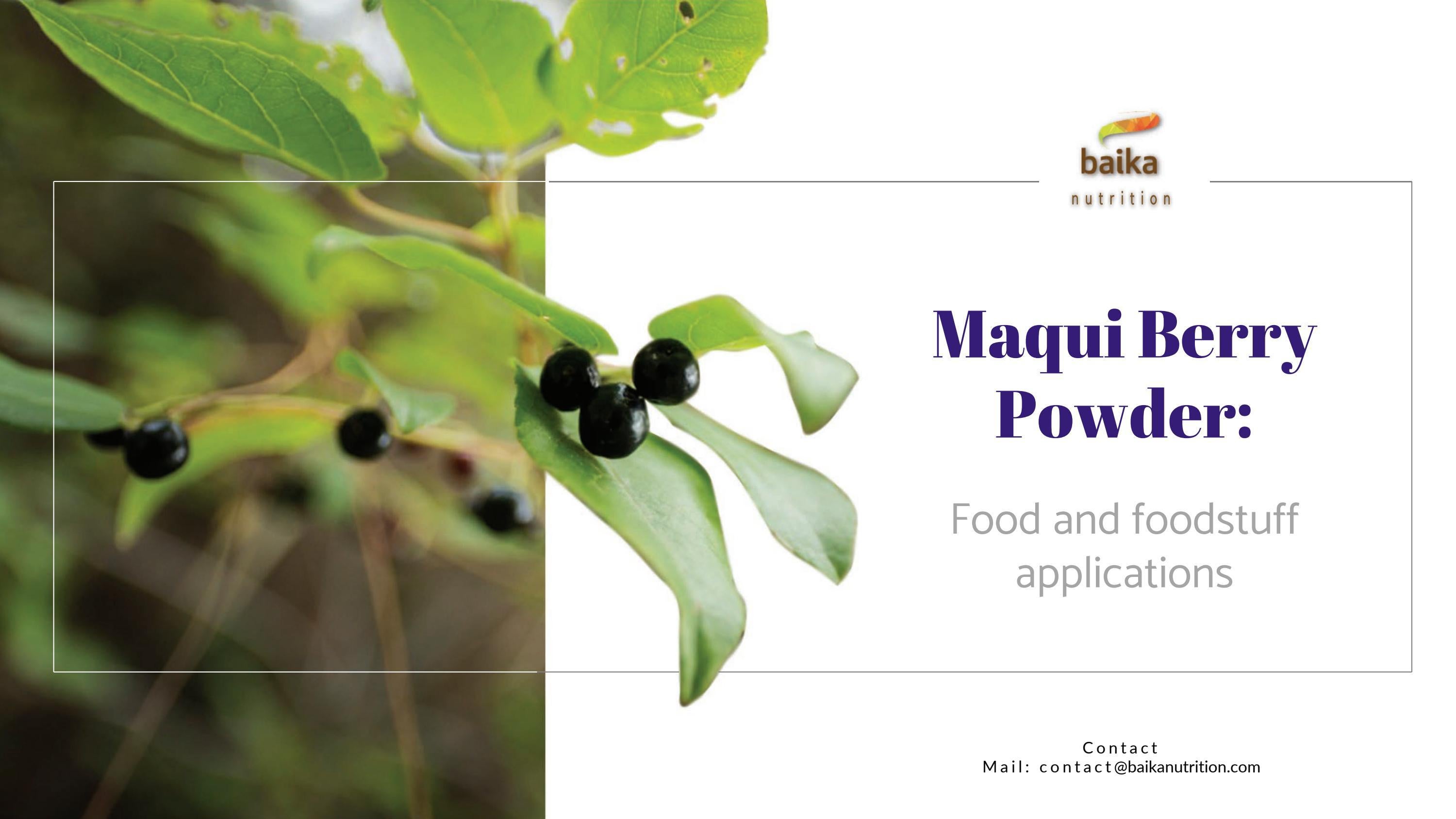 Diseño de beneficios del Maqui by Alvaro Araya - Issuu