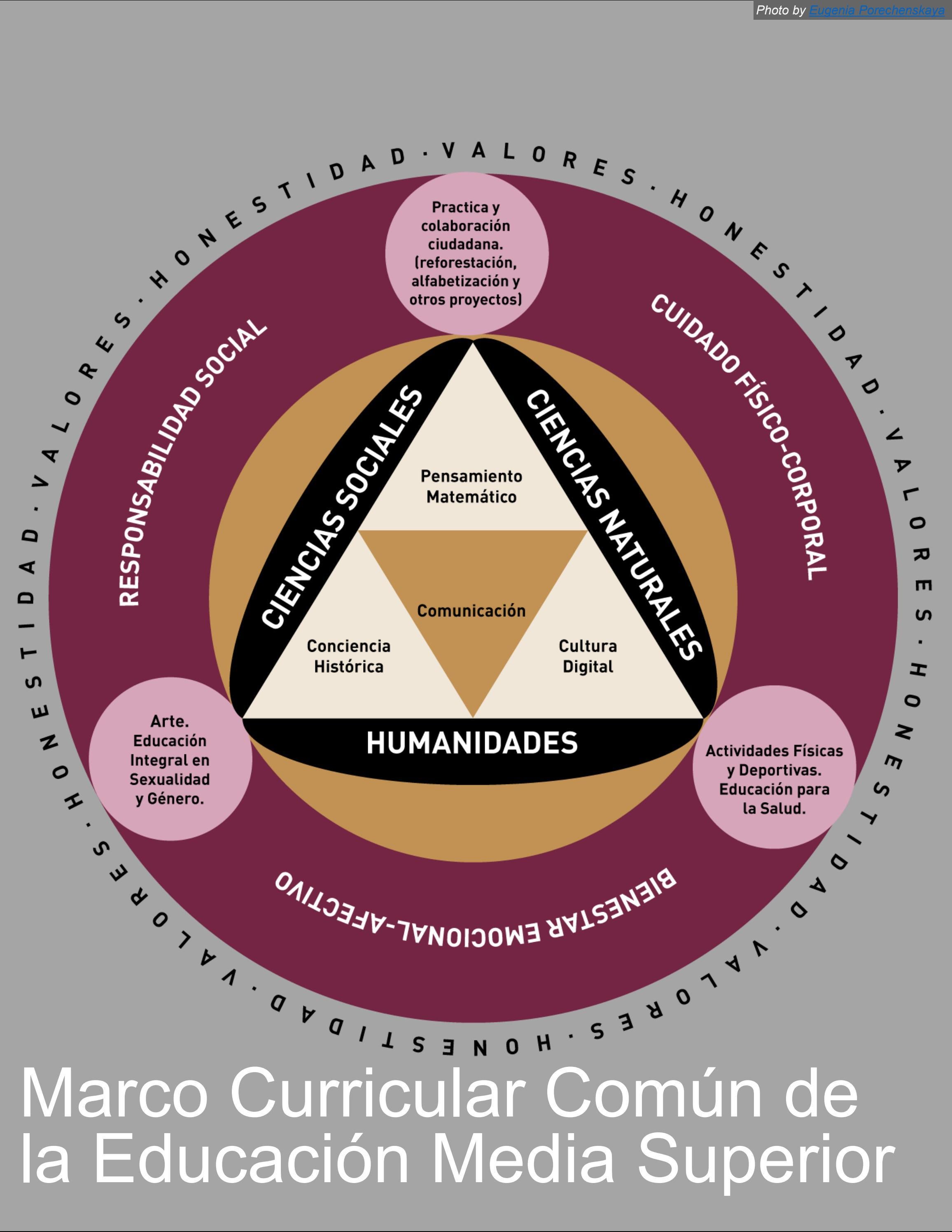 Marco Curricular Común de Educación Media Superior by Reyna Castro ...