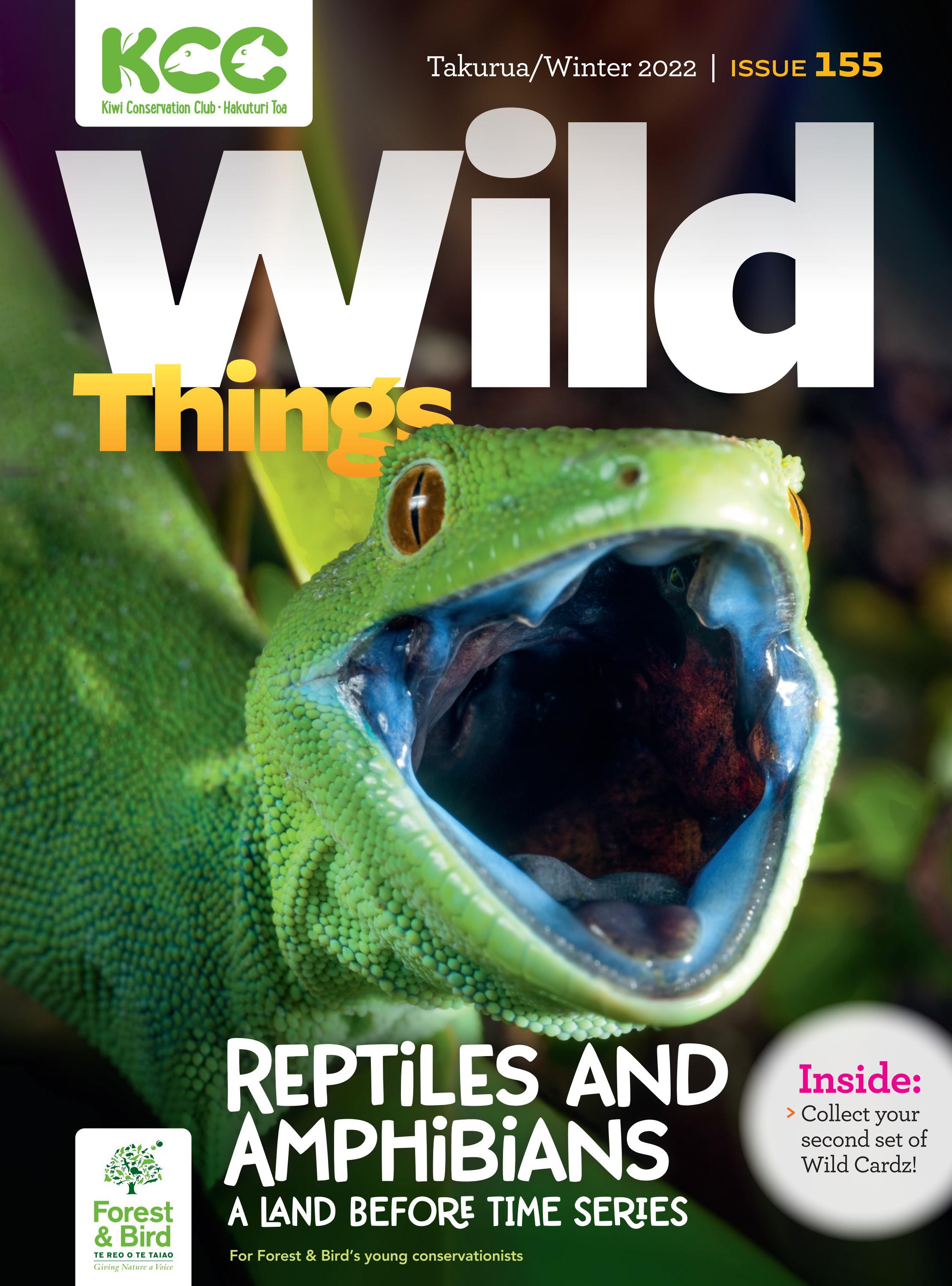 KCC Wild Things 155 Winter 2022 by Forest & Bird - Issuu