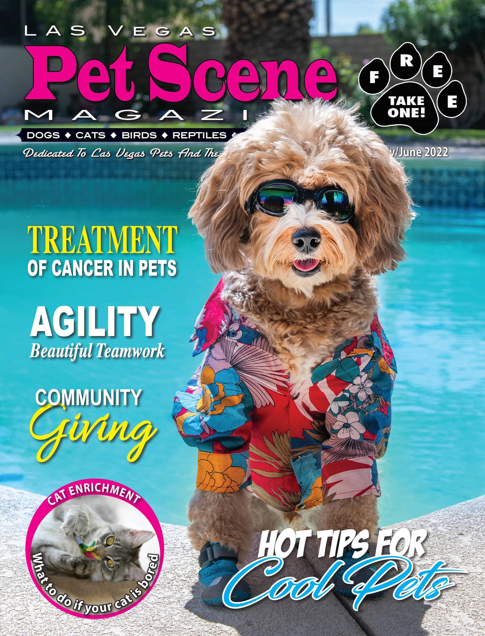 Las Vegas Pet Scene Magazine, May/June 2022 by Homes Illustrated/LV Pet ...