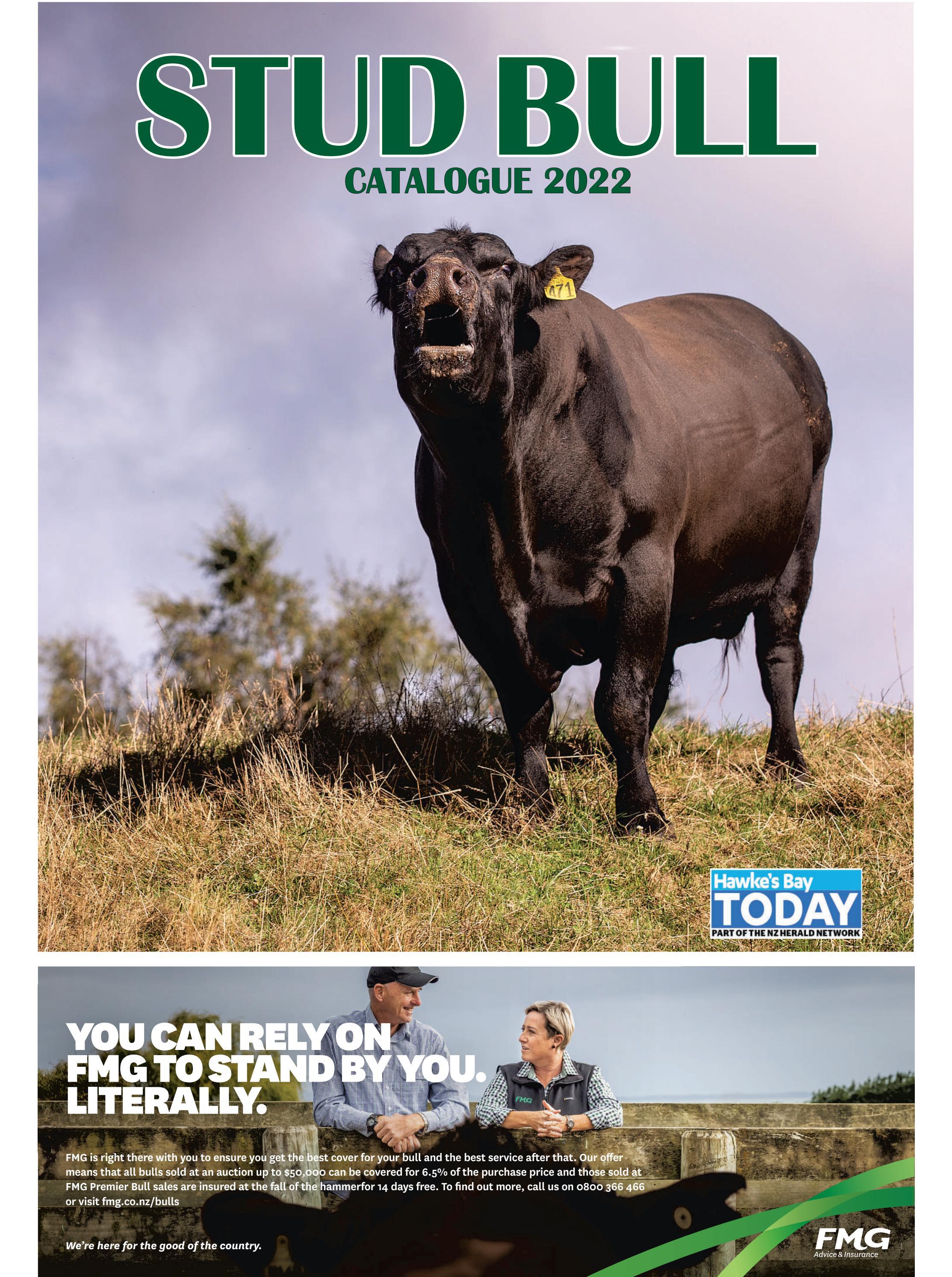 HB Today - Stud Bull Catalogue May 2022 by NZME. - Issuu