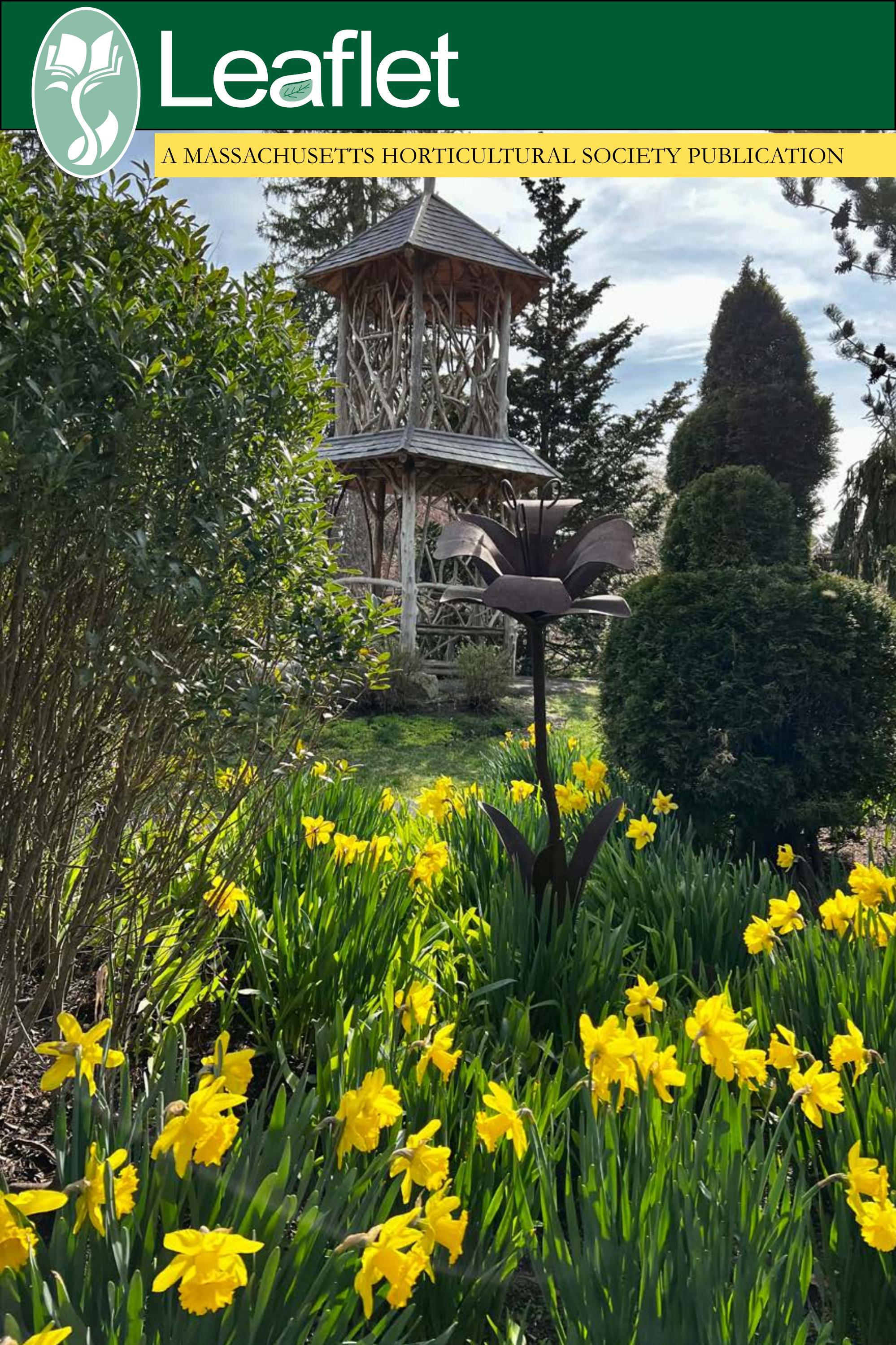 MHS Leaflet, May 2022 by Massachusetts Horticultural Society - Issuu