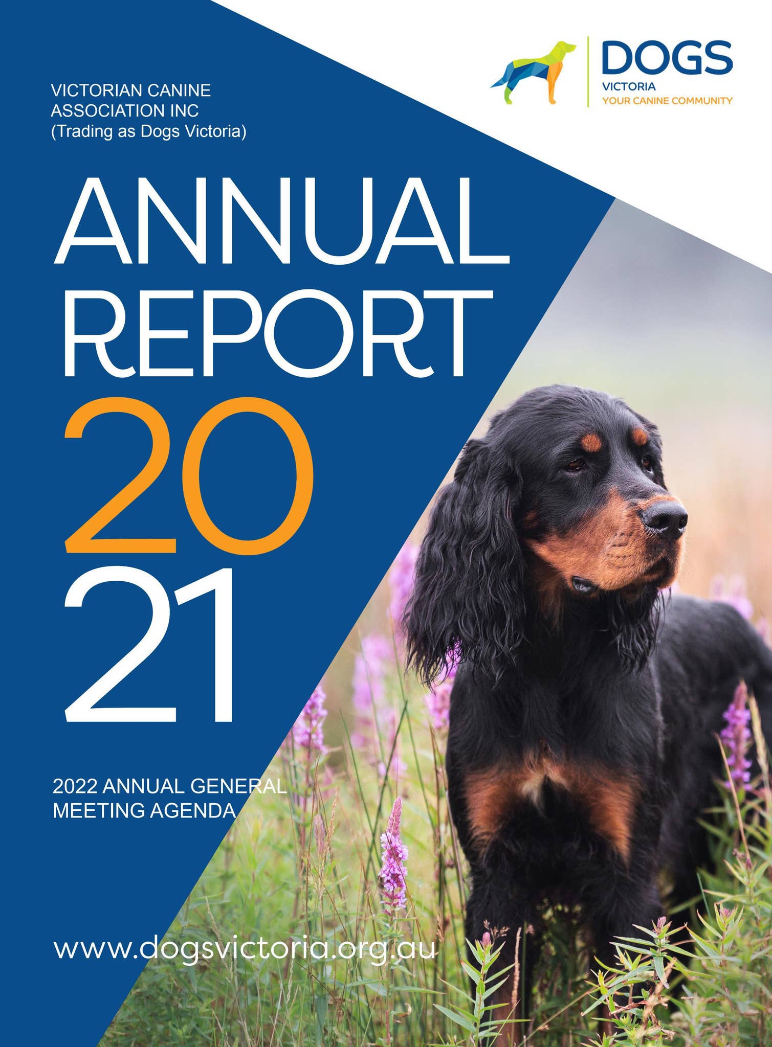 Dogs Victoria Annual Report 2021 by Dogs Victoria - Issuu