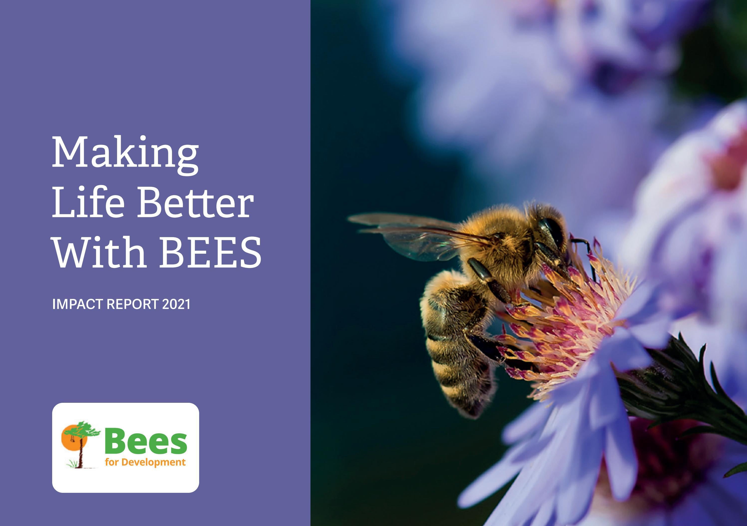 Impact Report 2021 by Bees for Development - Issuu