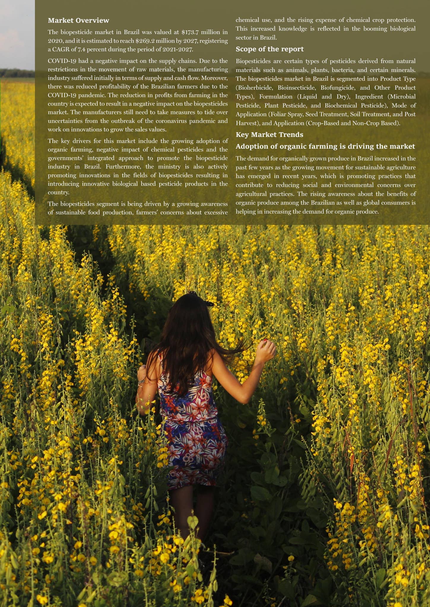 Chemical Today Magazine PDF April 2022 by worldofchemicals.com - Issuu