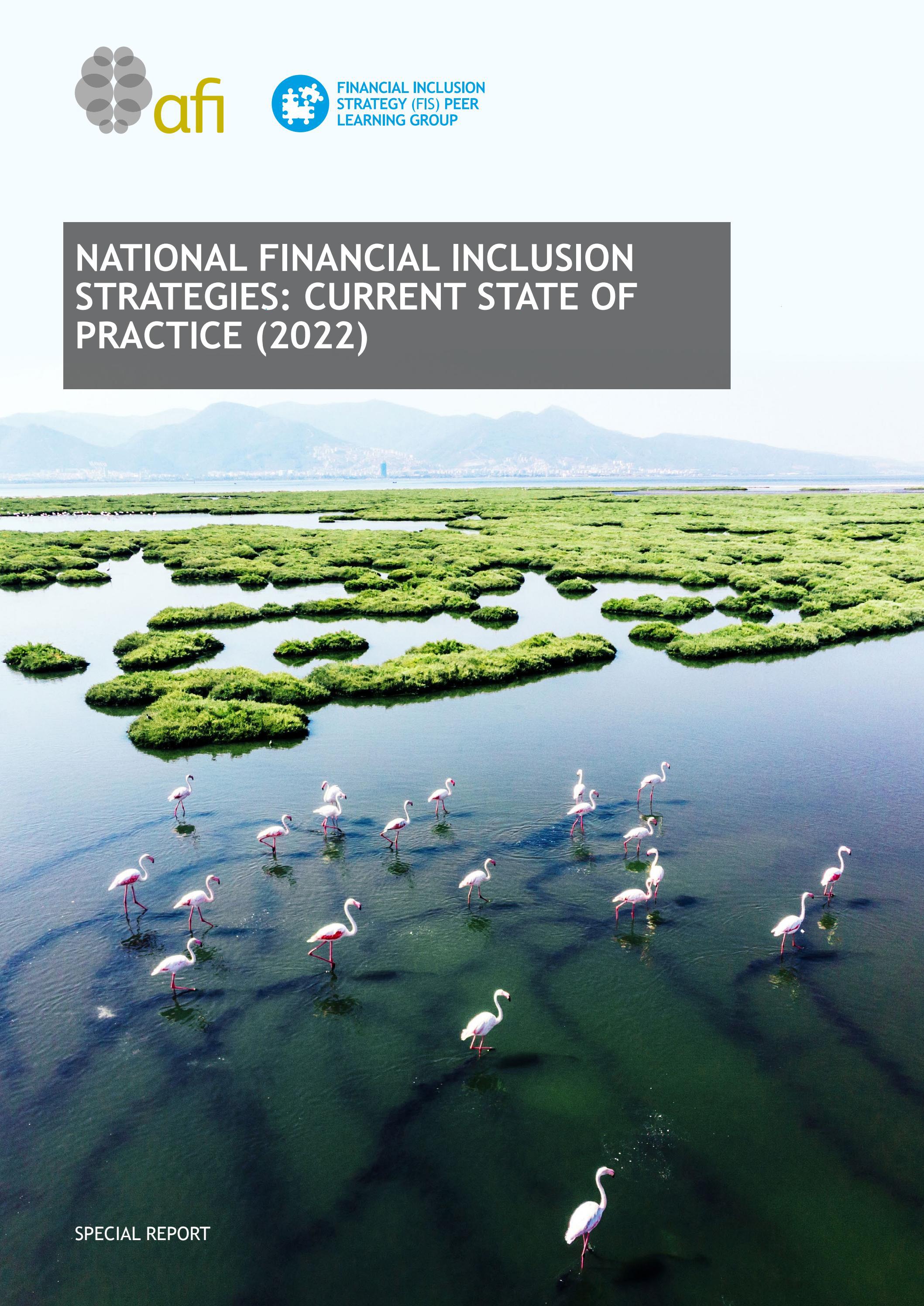 National Financial Inclusion Strategies: Current State of Practice ...
