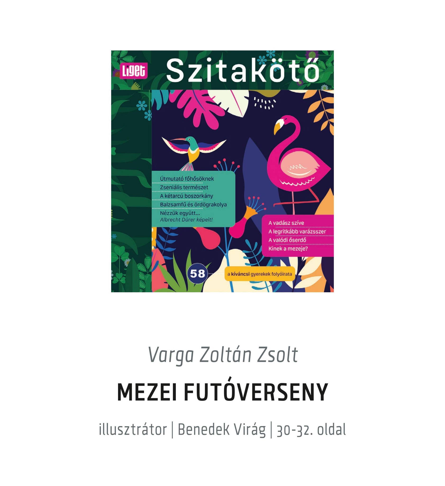 Varga Zoltán Zsolt | MEZEI FUTÓVERSENY by LIGET MÅ±hely AlapÃ­tvÃ¡ny ...