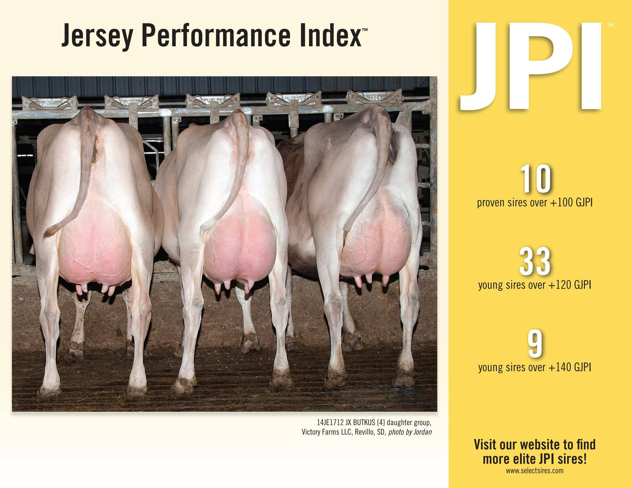 April 2022 Genetic Selection Guide by Select Sires - Issuu