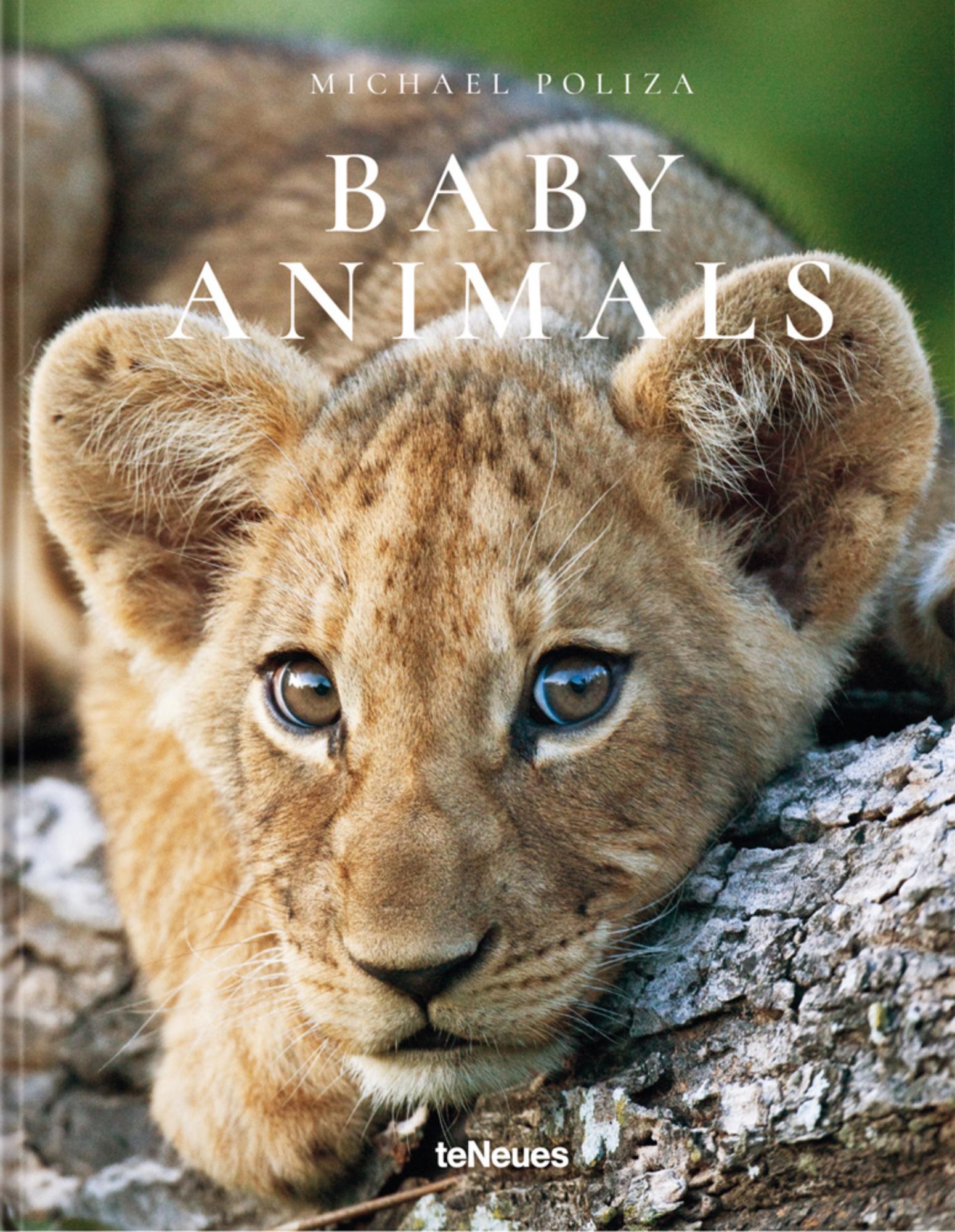 Baby Animals by ACC Art Books - Issuu