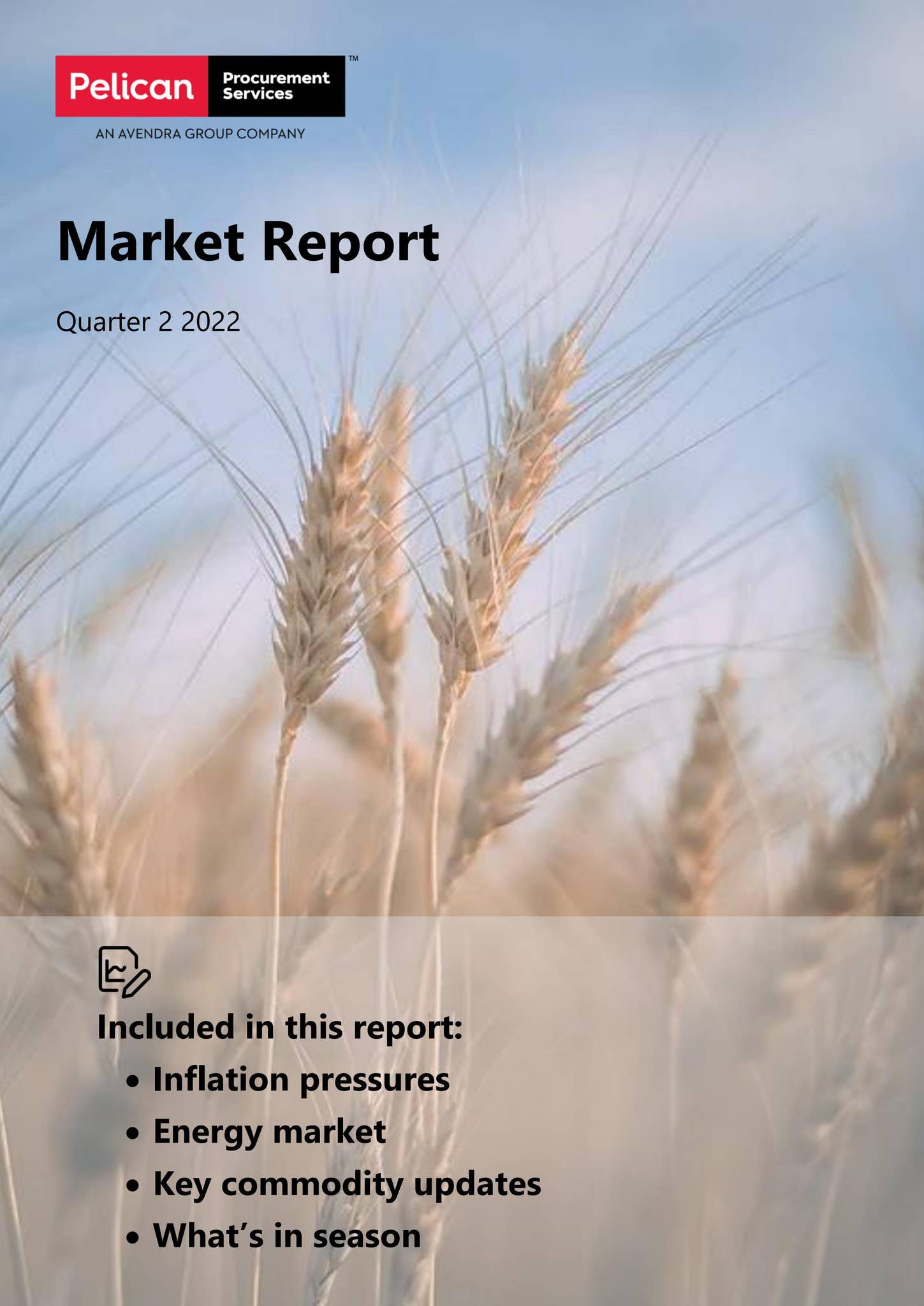 Pelican Procurement Market Report Q2 2022 by Avendra International ...