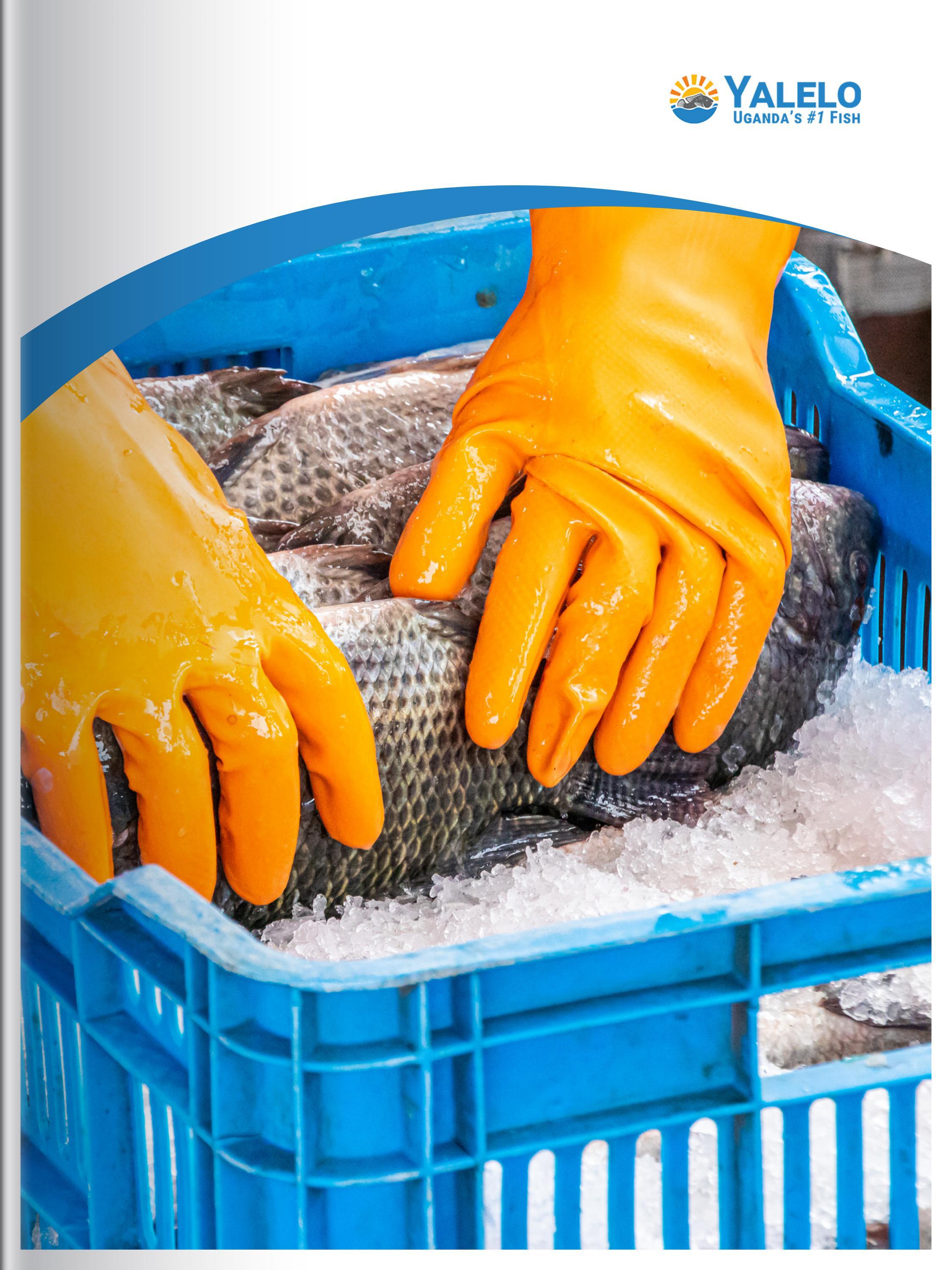 Yalelo by Outlook Publishing - Issuu