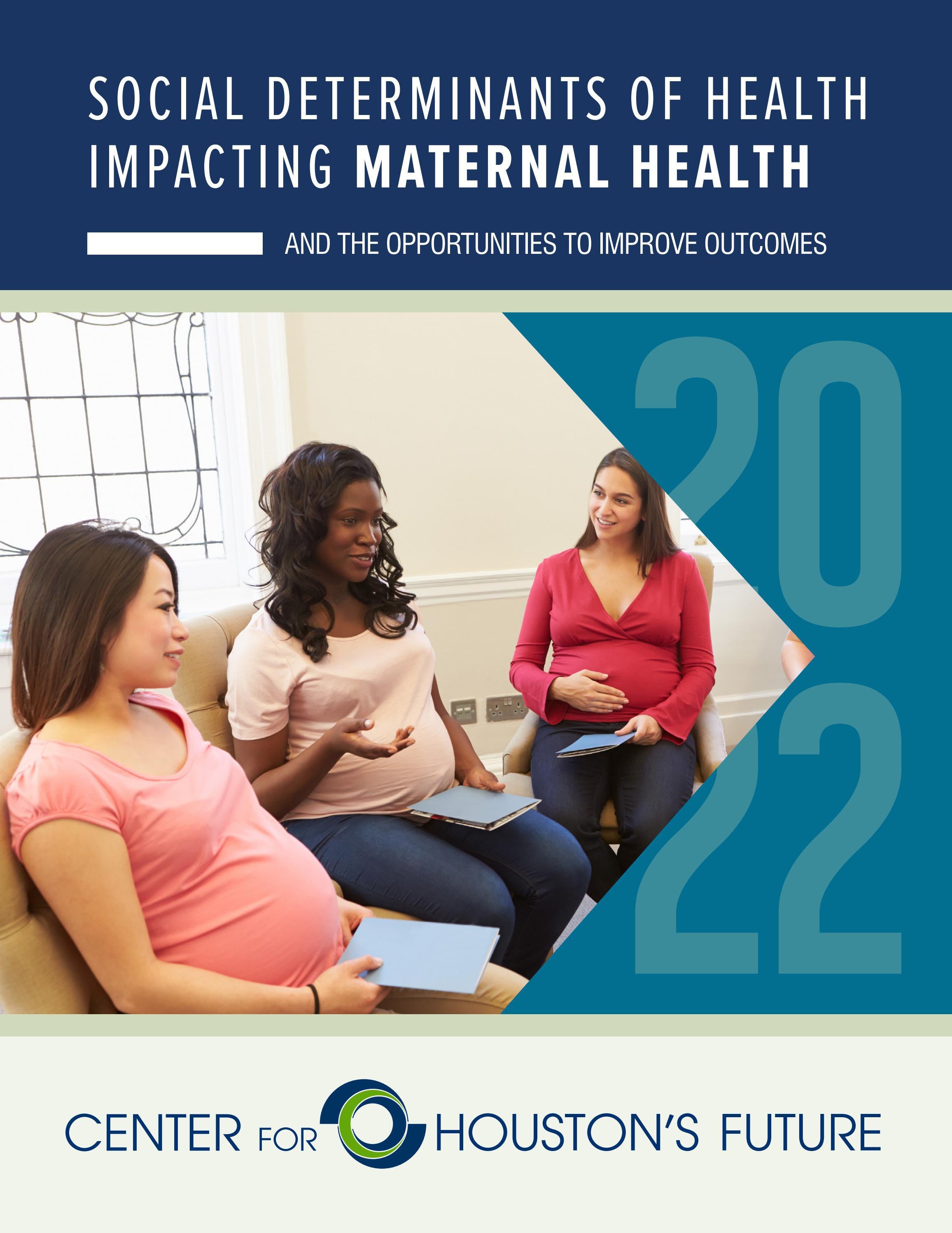 Social Determinants of Health Impacting Maternal Health and the ...