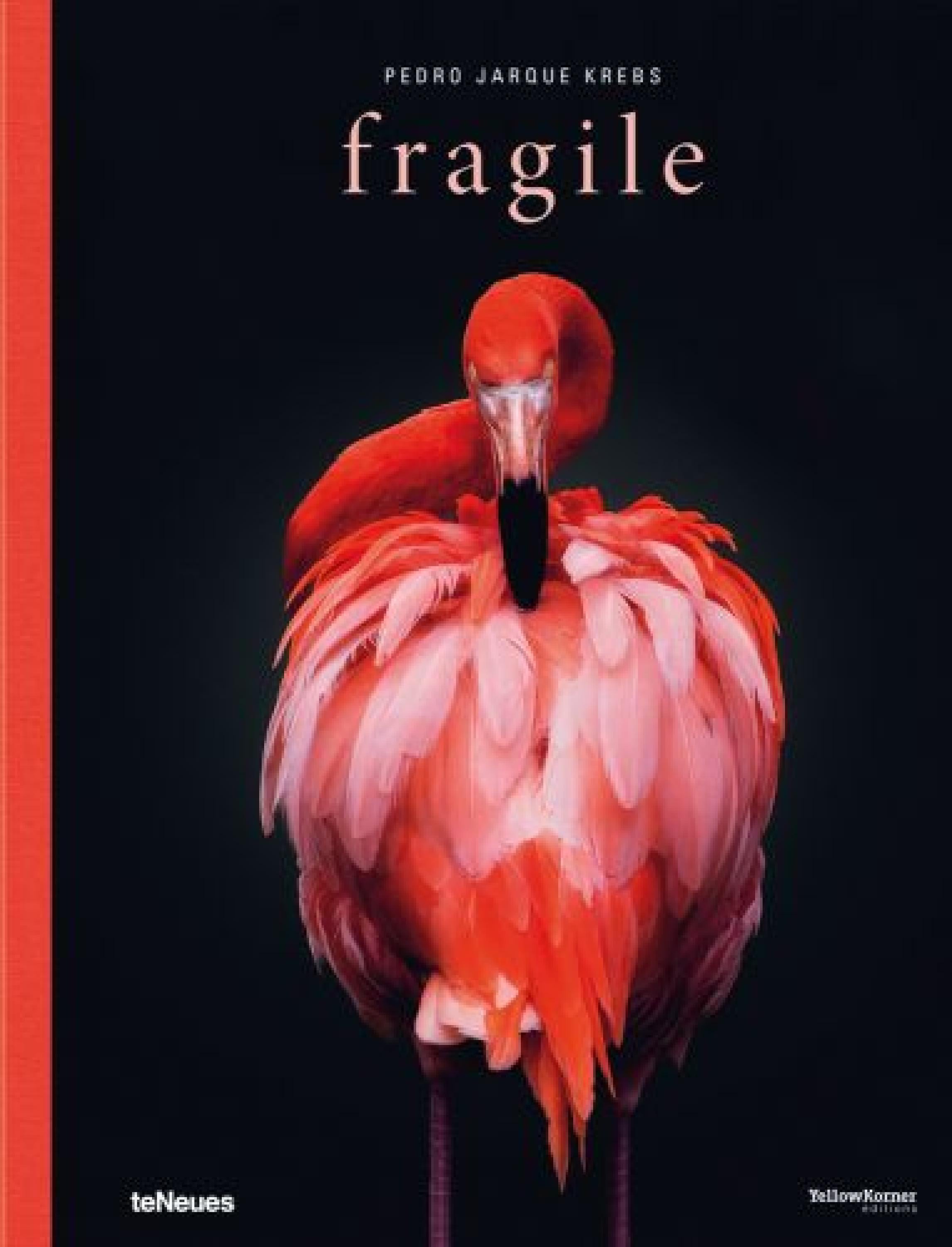 Fragile by ACC Art Books - Issuu