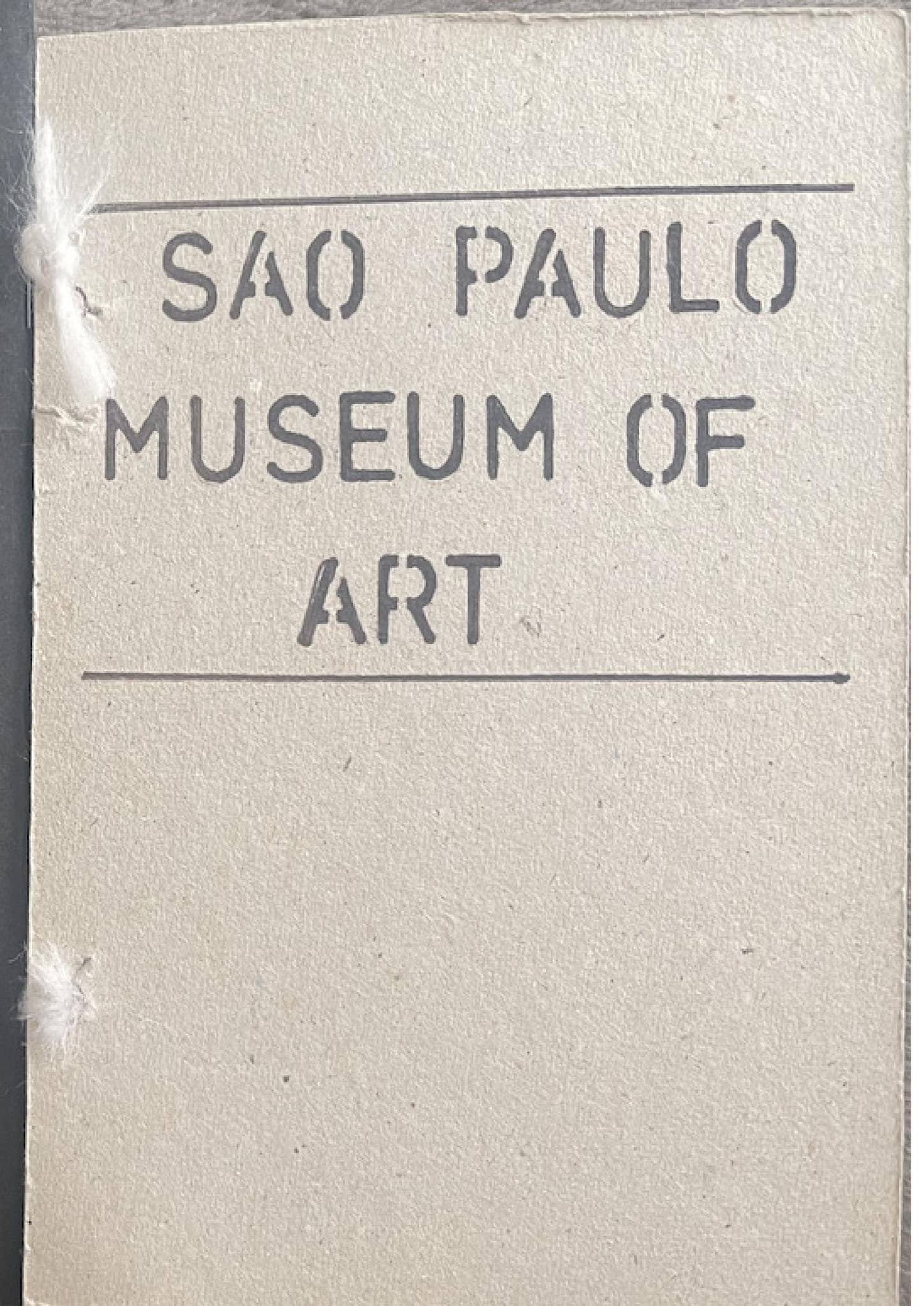 Sao Paulo Journal by Cara Conlon - Issuu