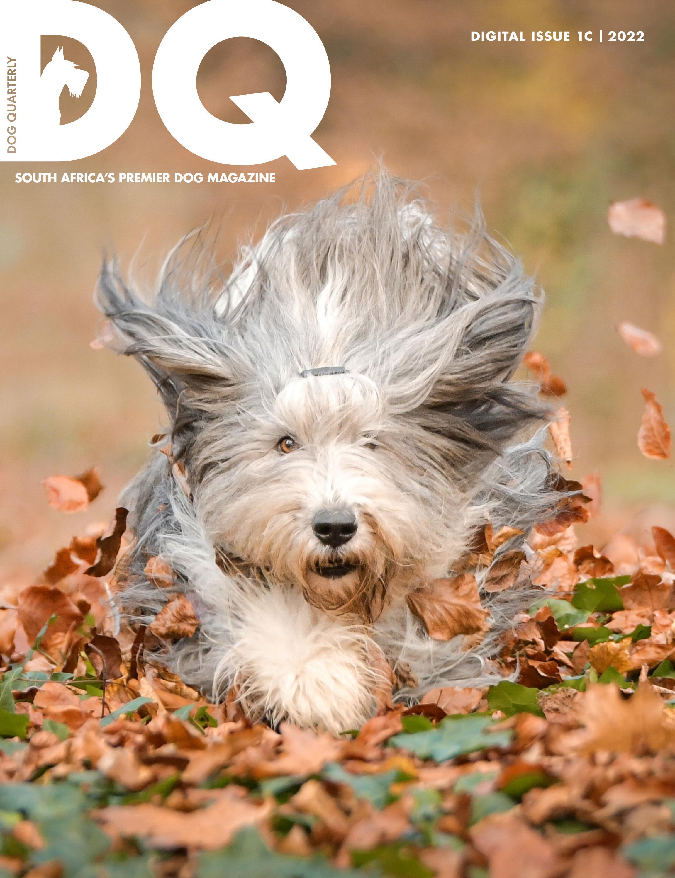 DQ Magazine Issue 1C by hqmagazine - Issuu