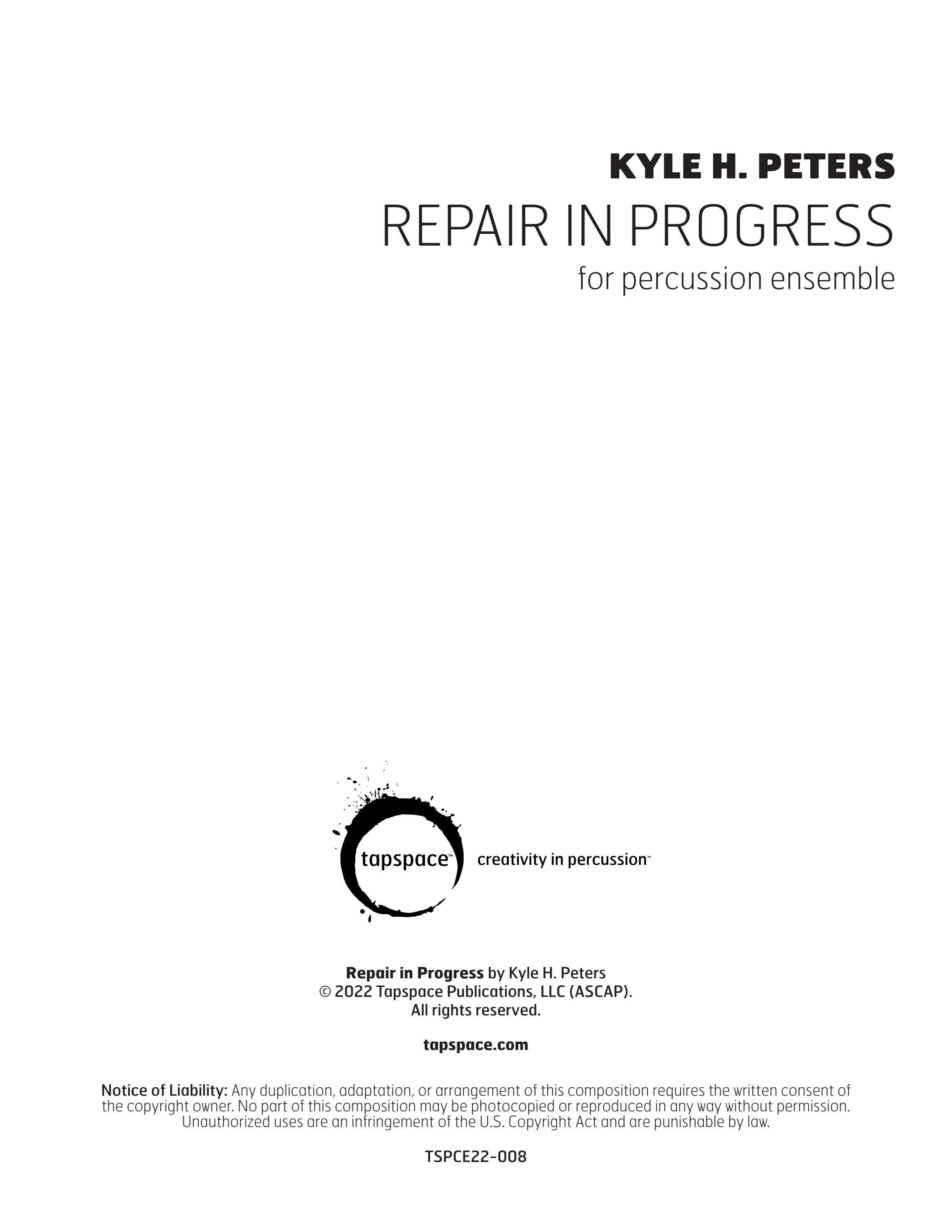 Repair in Progress-SAMPLE by Tapspace - Issuu