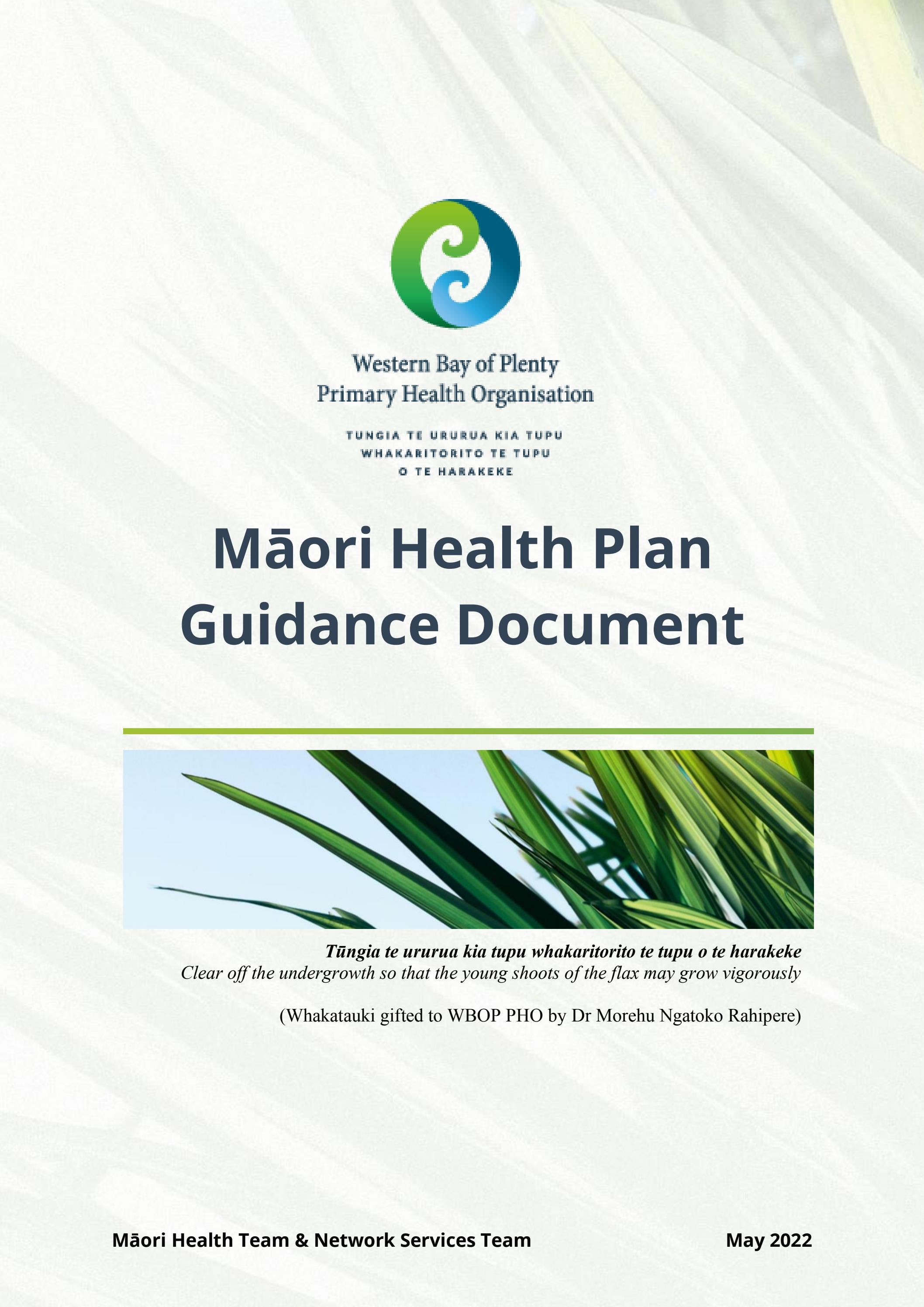 1. General Practice Māori Health Plan Guidance by WBOP PHO - Issuu