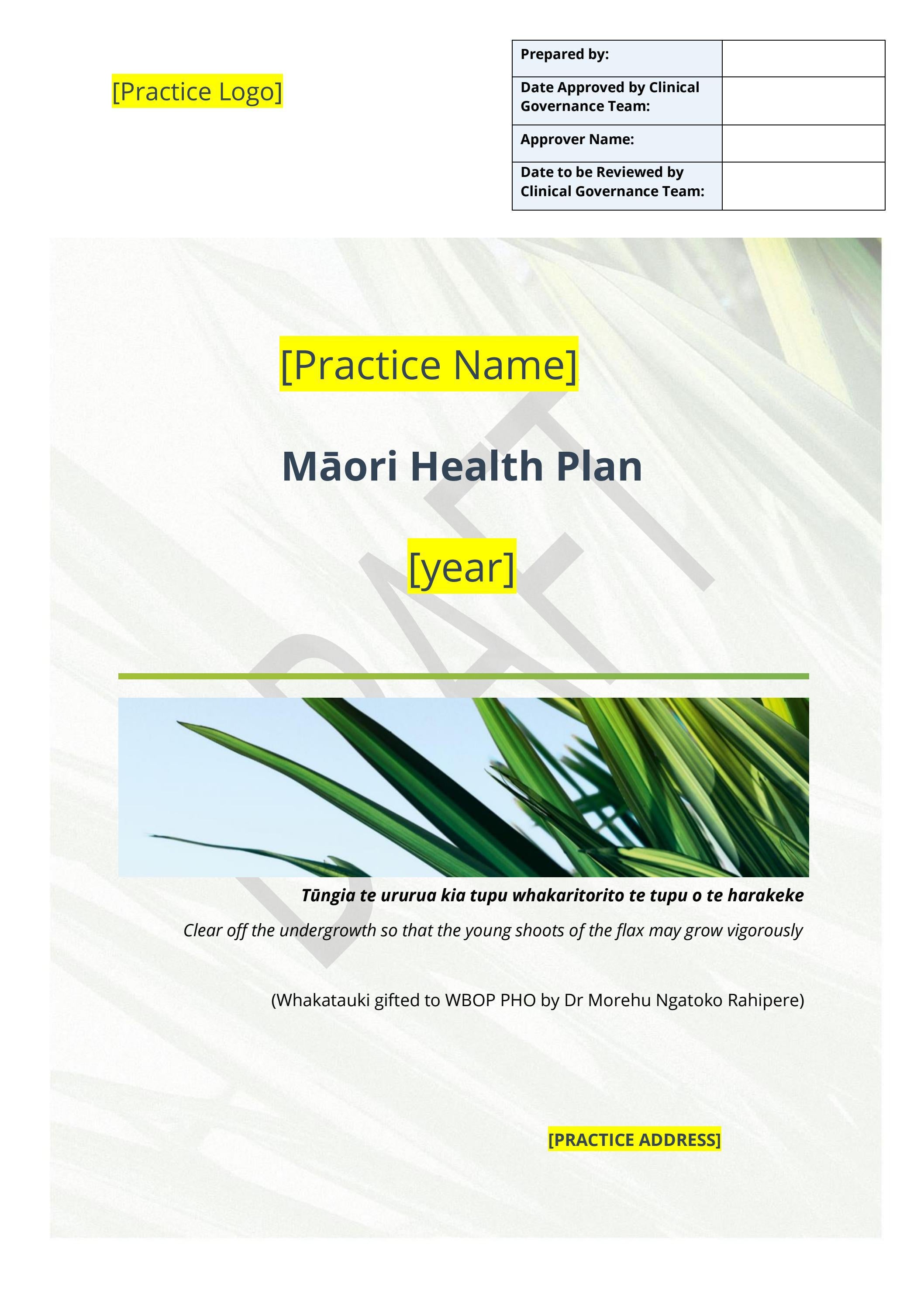 2. General Practice Māori Health Plan - Template by WBOP PHO - Issuu