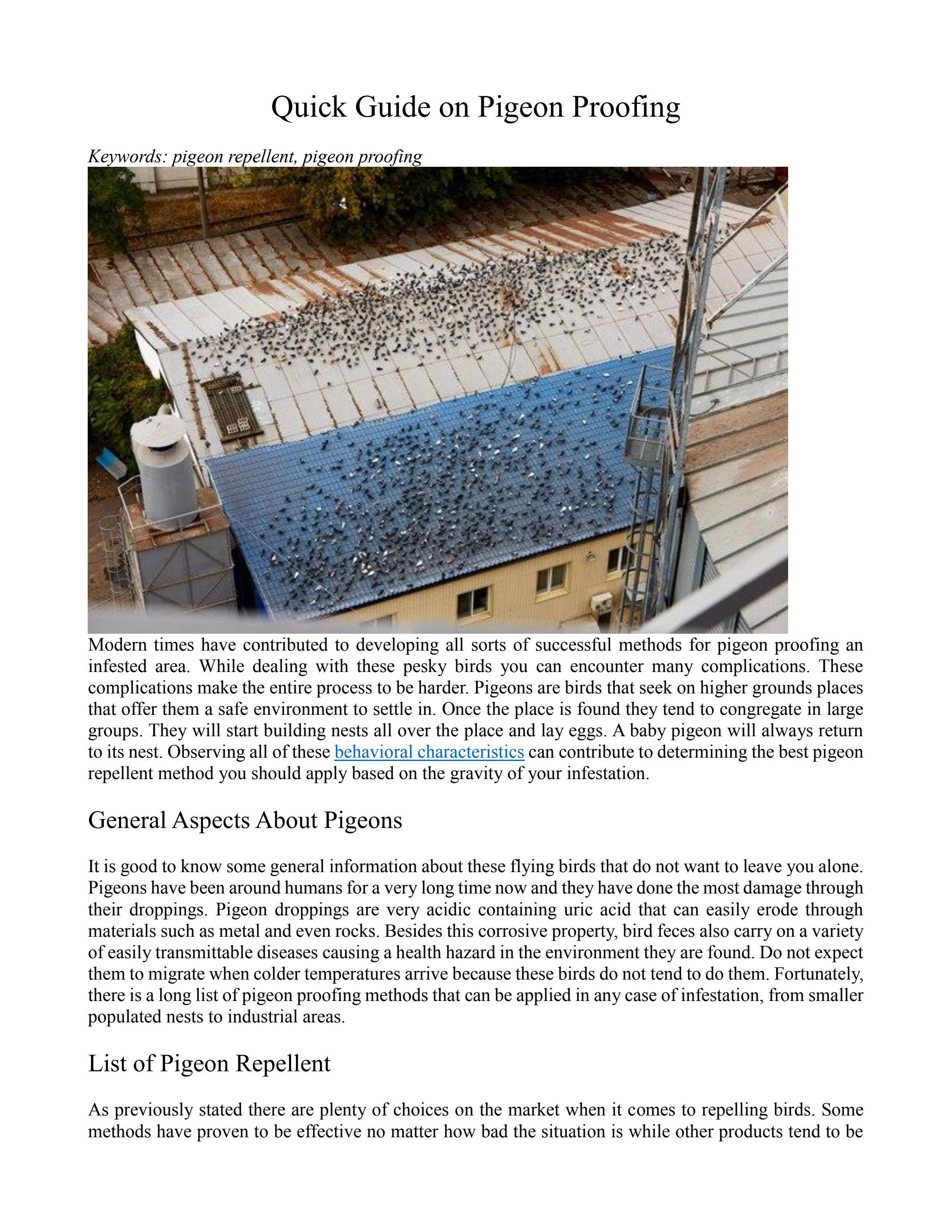 Quick Guide on Pigeon Proofing by AngelaParker3 - Issuu