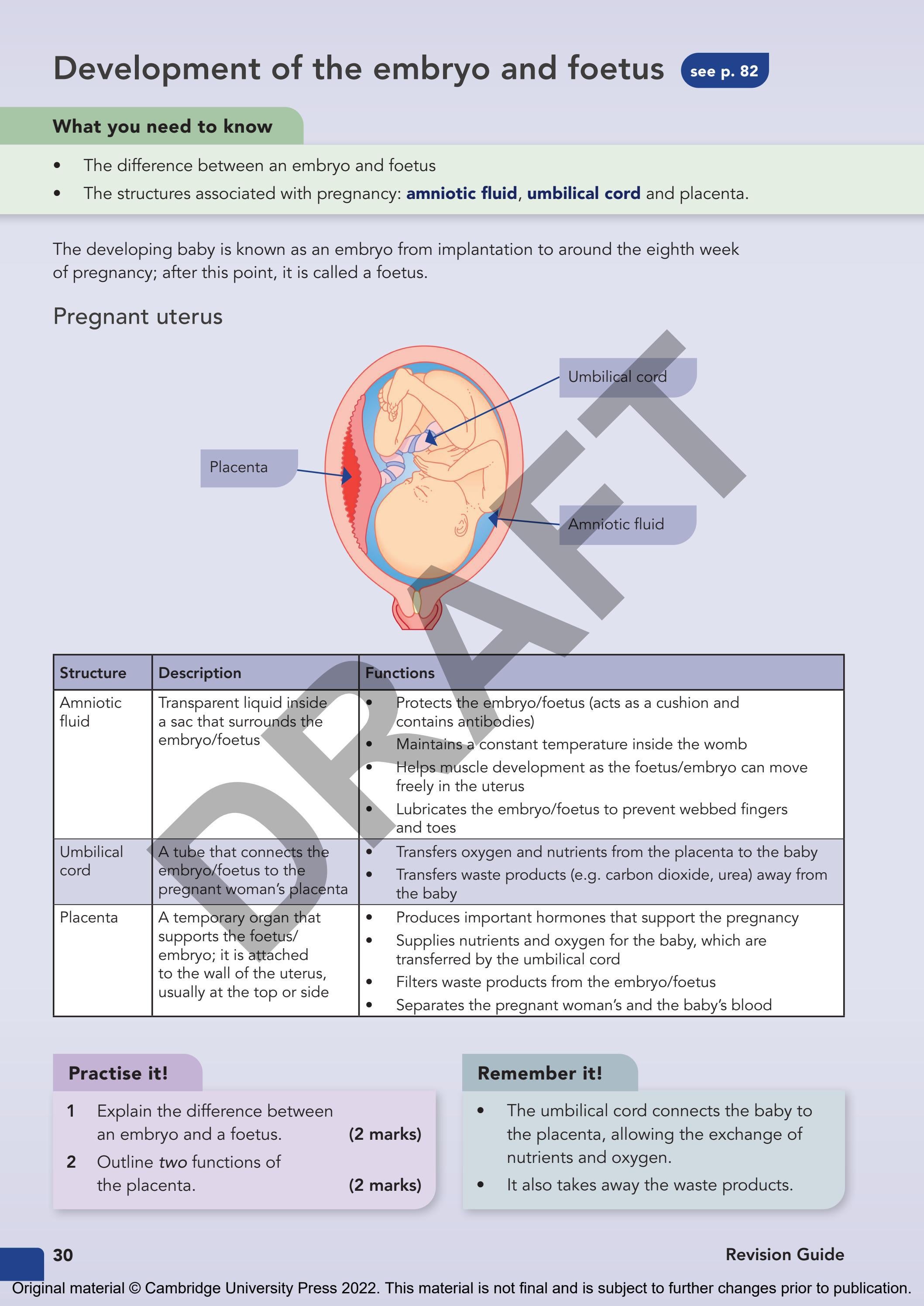 Cambridge Nationals Child Development Revision Guide Issuu Sample by ...