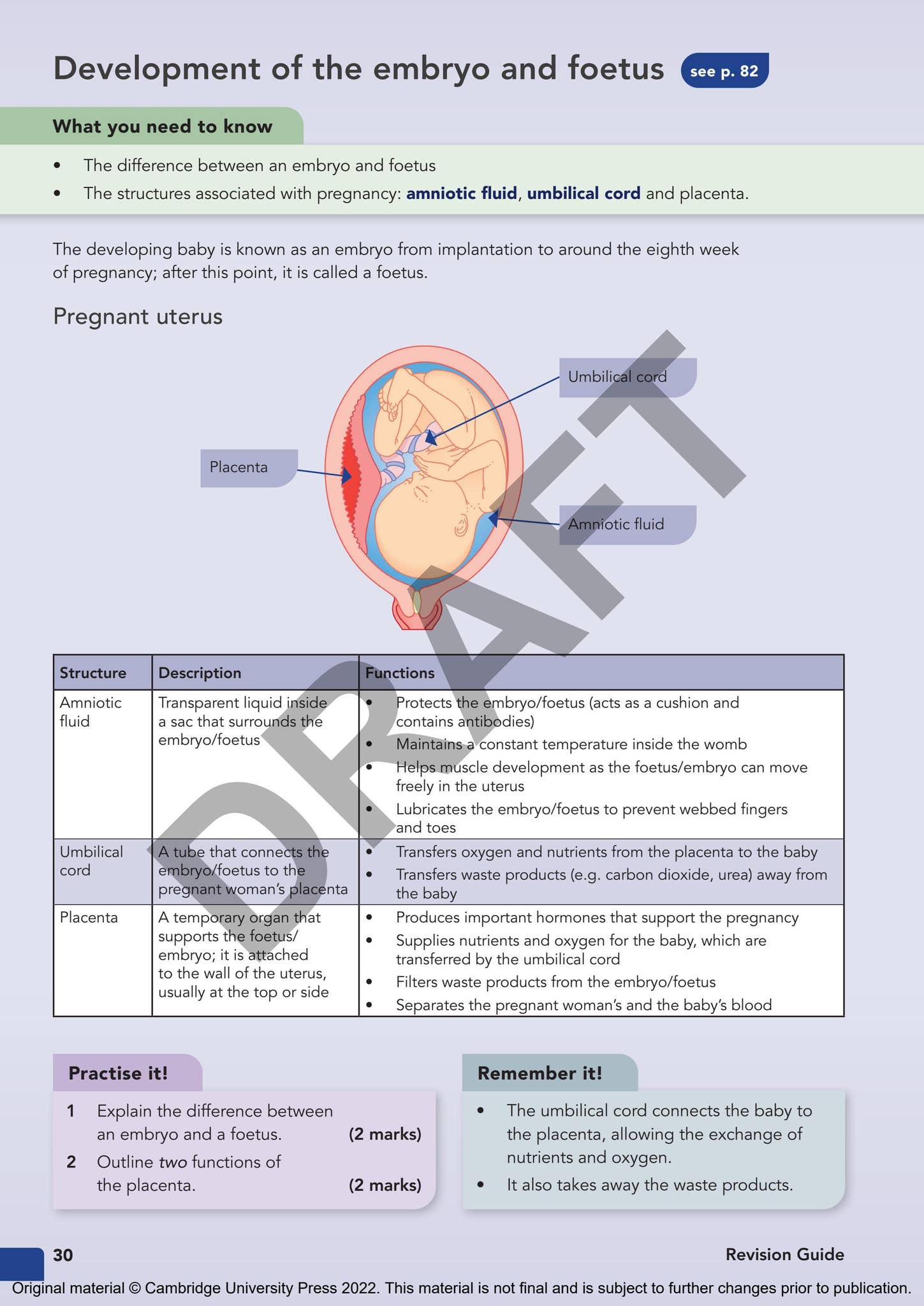Cambridge Nationals Child Development Revision Guide Issuu Sample by ...
